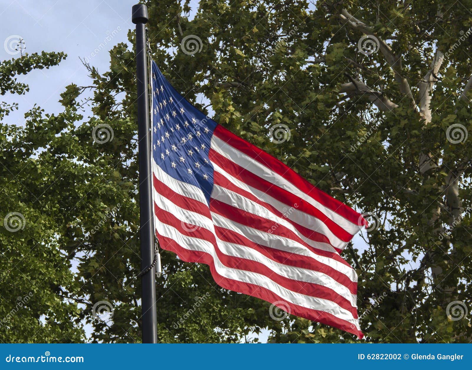 3,052 American Flag Trees Photos - Free & Royalty-Free Stock Photos ...