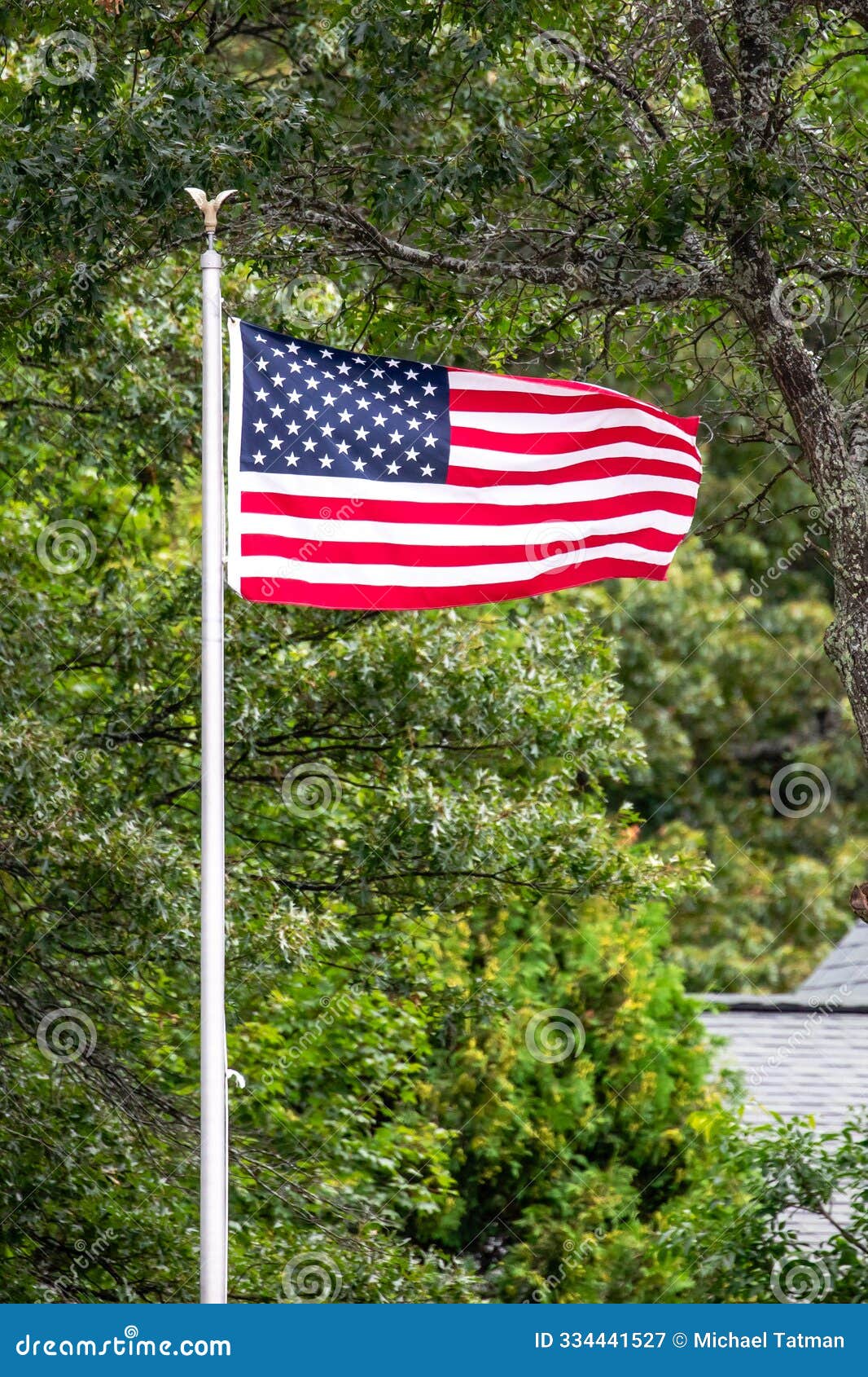 American Flag Flying on a Flag Pole with Trees Stock Image - Image of ...