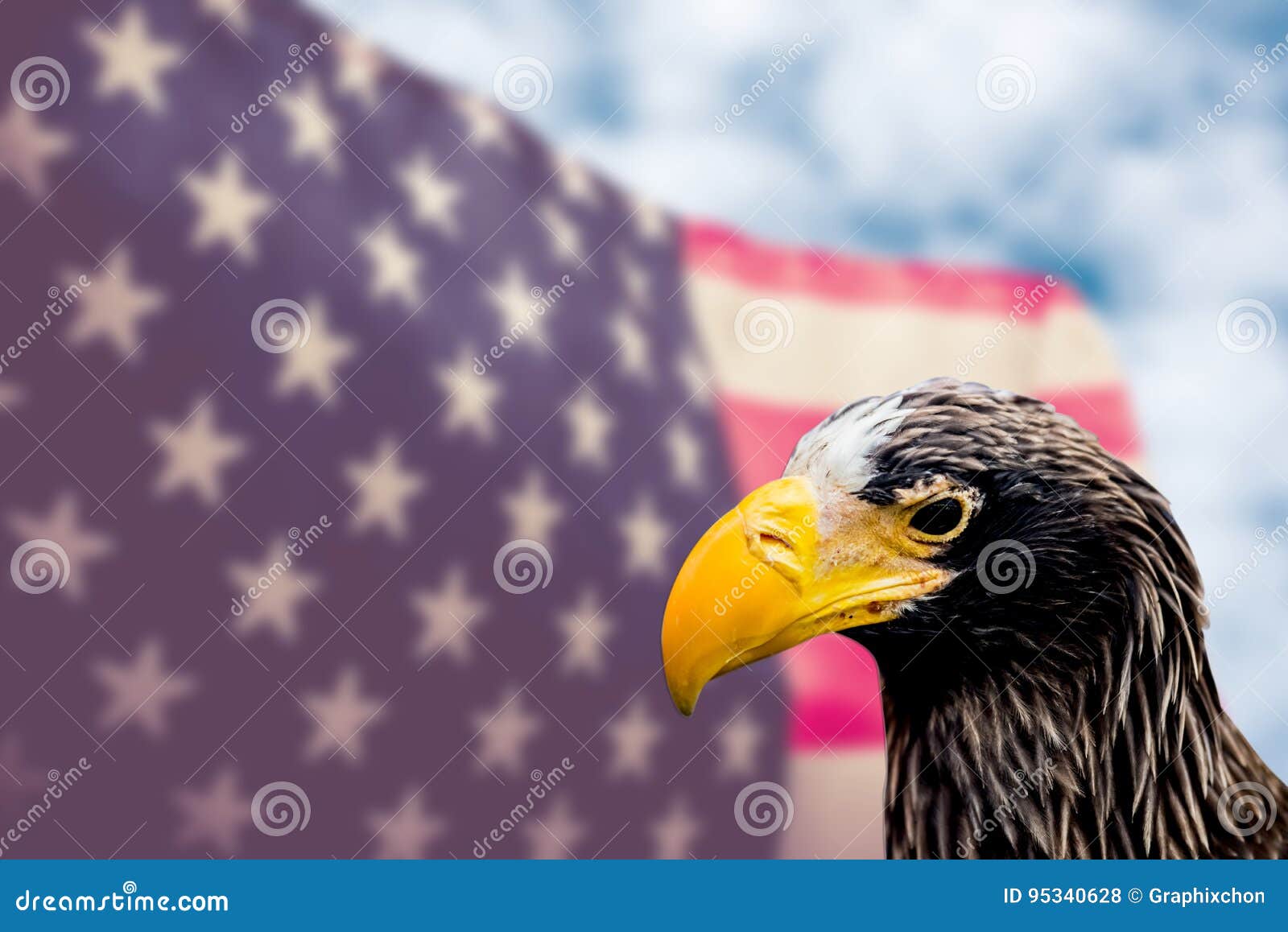 234 Flag Hawk Photos - Free & Royalty-Free Stock Photos from Dreamstime