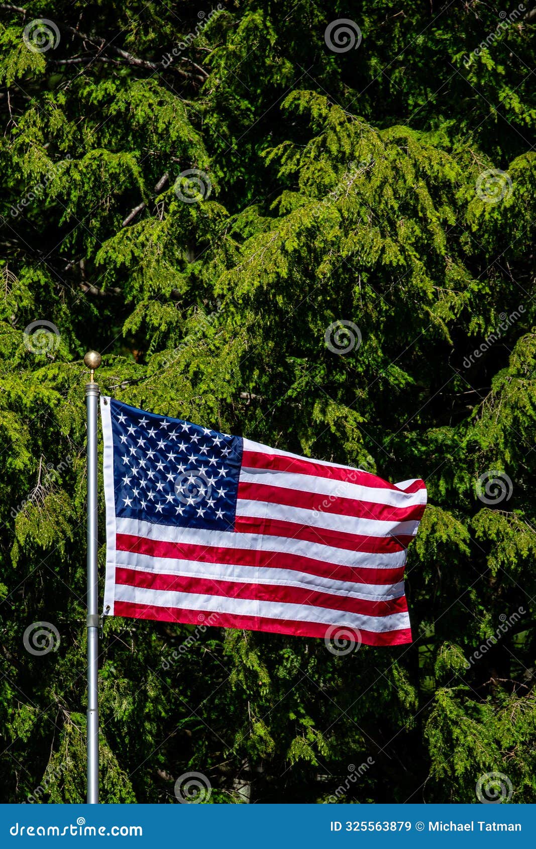 American Flag on a Pole in Front of a Pine Trees Stock Image - Image of ...