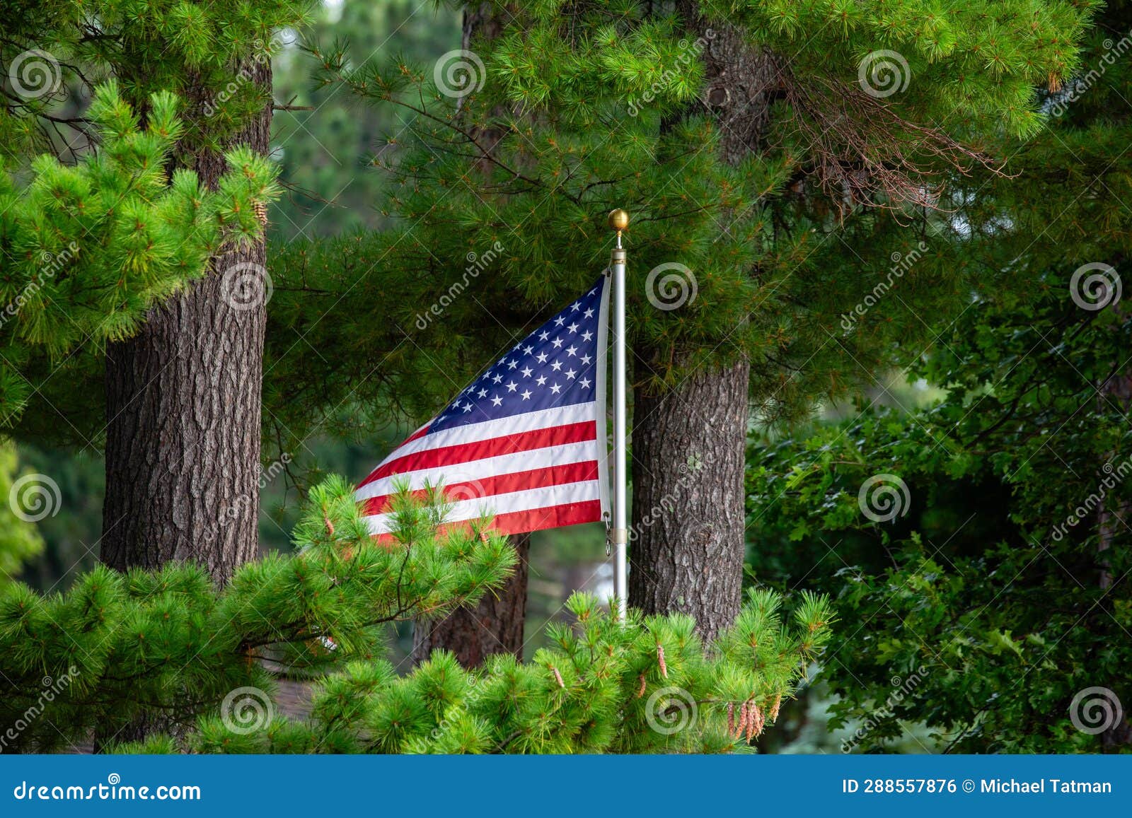 American Flag on a Flag Pole between Trees Stock Photo - Image of ...