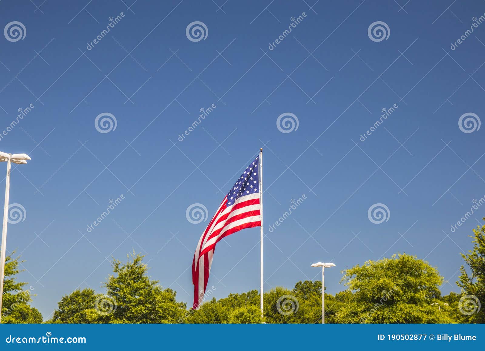 American flag on a pole stock image. Image of green - 190502877