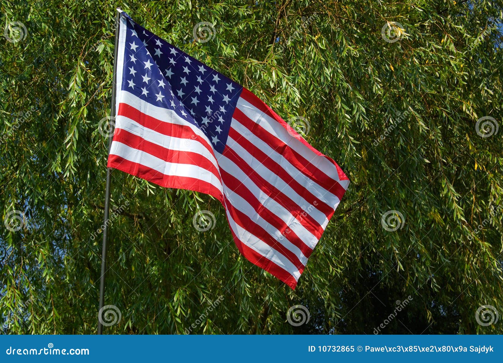 American Flag with Tree As Background Stock Image - Image of star ...