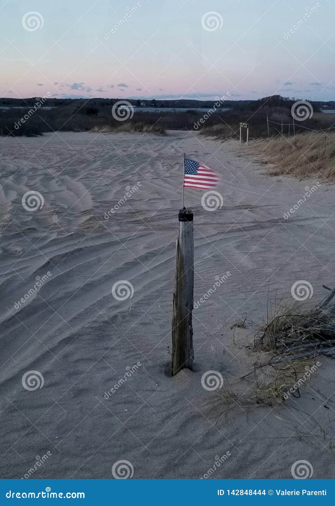 American Flag Waving in the Wind on the Beach Stock Photo - Image of ...
