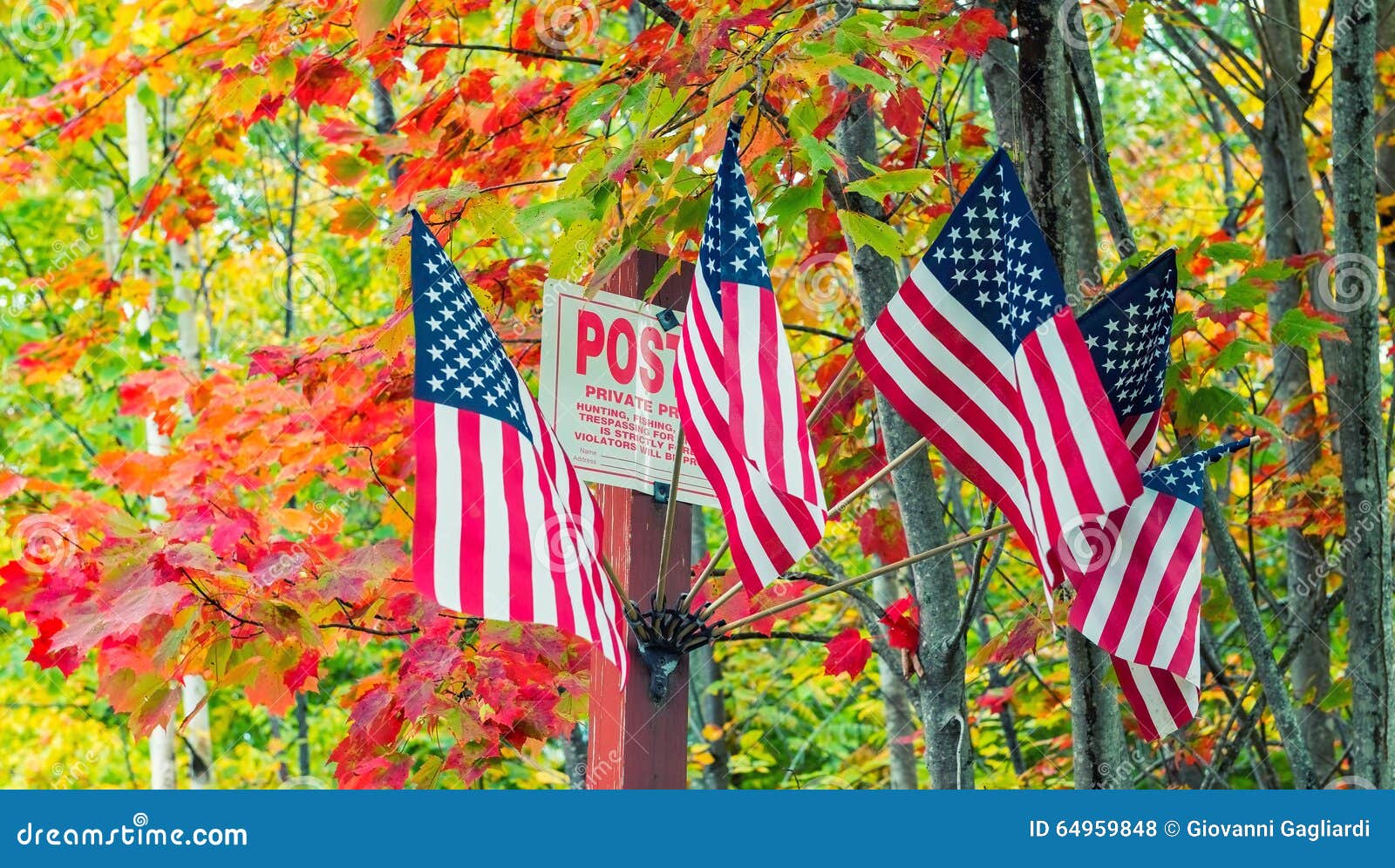 American Flags Against Foliage Trees Stock Photo - Image of national ...