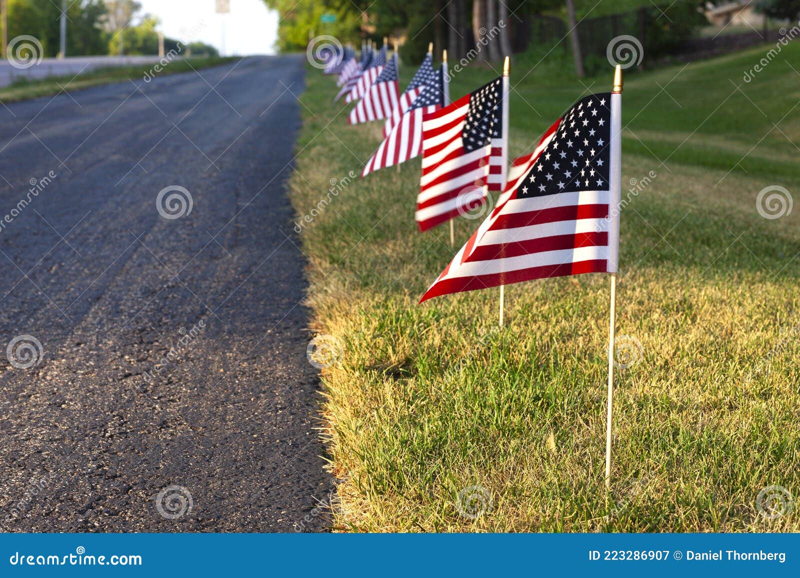 American Flags Along a Walking Path on the 4th of July Stock Image ...