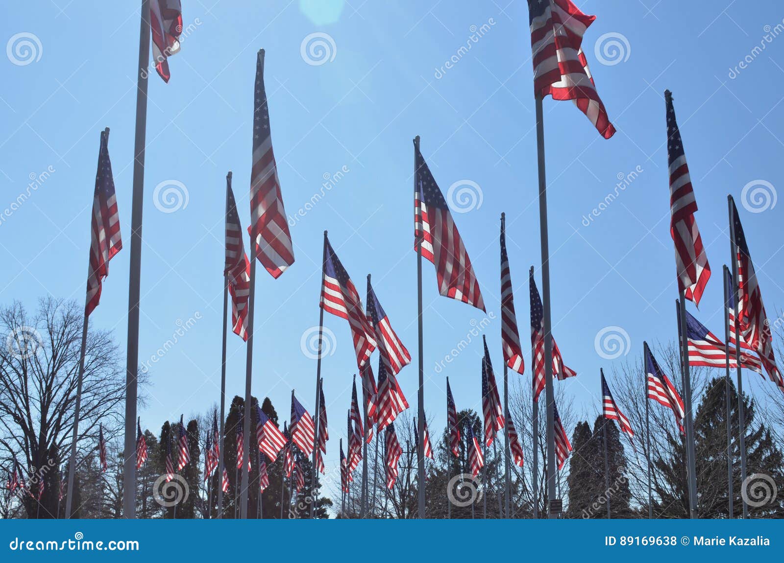 American Flags Blowing in Wind Stock Photo - Image of color, colored ...