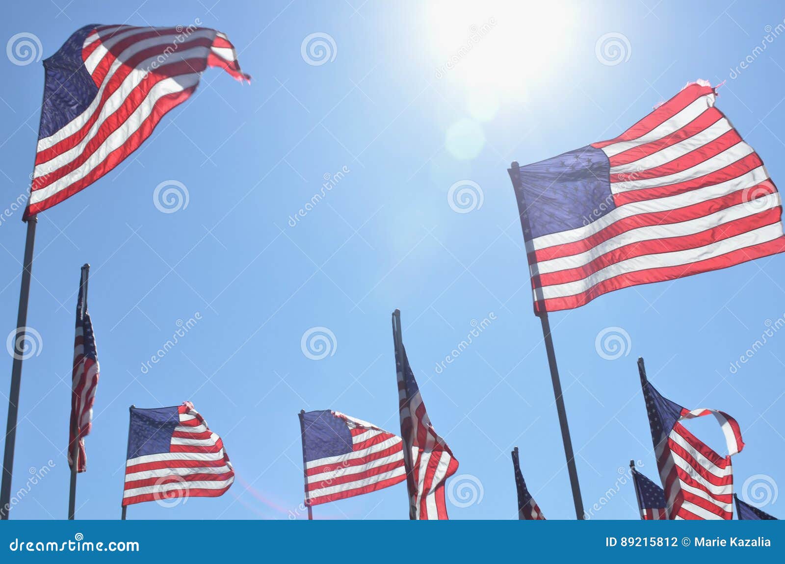 American Flags Blowing in Wind Stock Photo - Image of illuminated ...