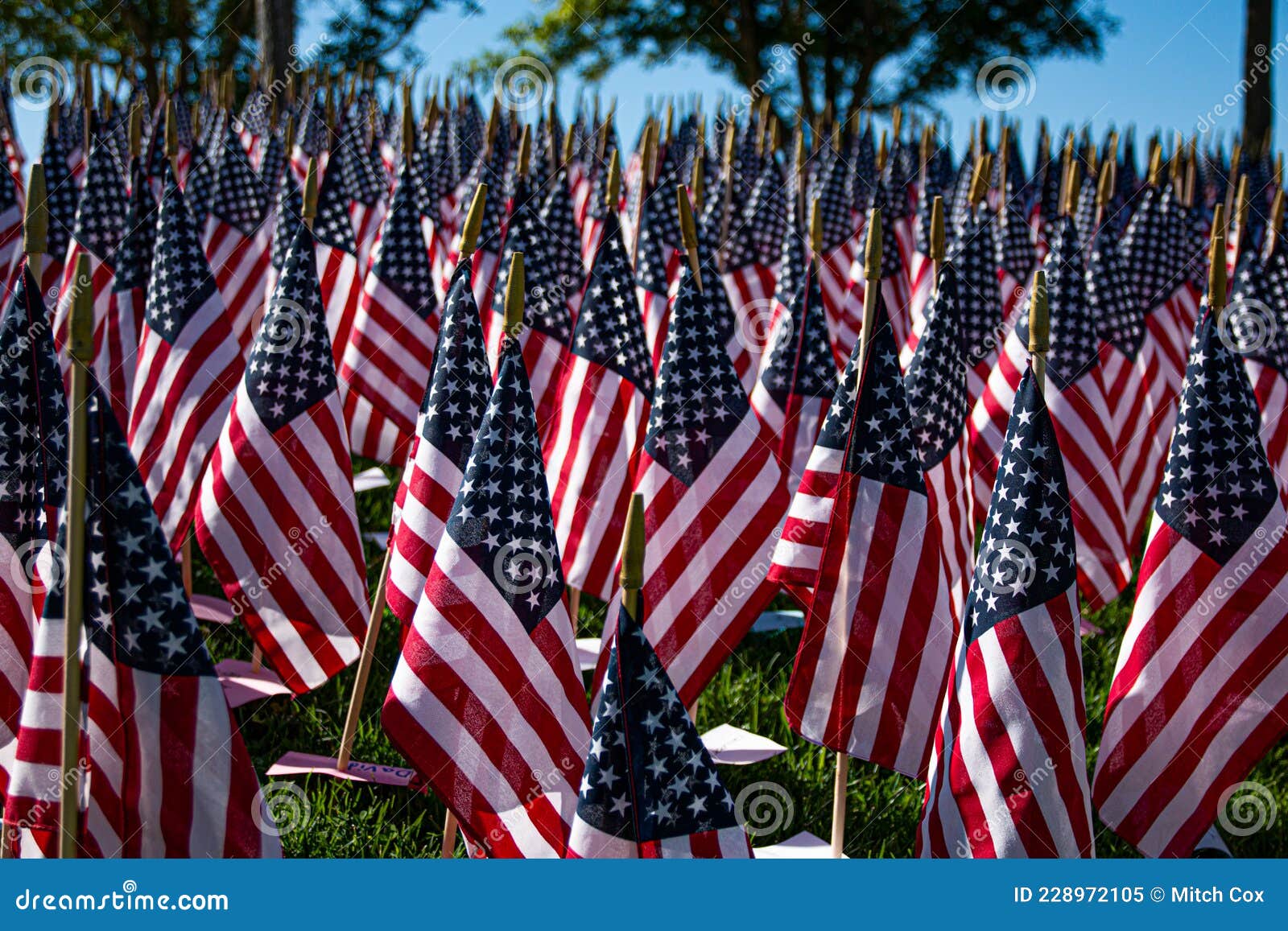 Flags of Remembrance stock image. Image of displayed - 228972105