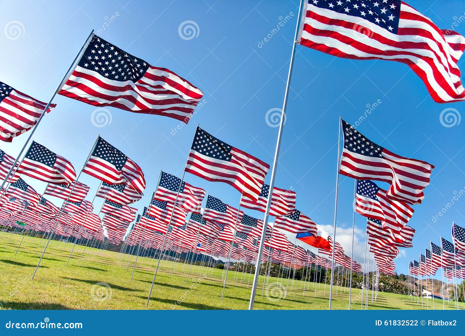 American Flags Displaying on Memorial Day Stock Photo - Image of army ...