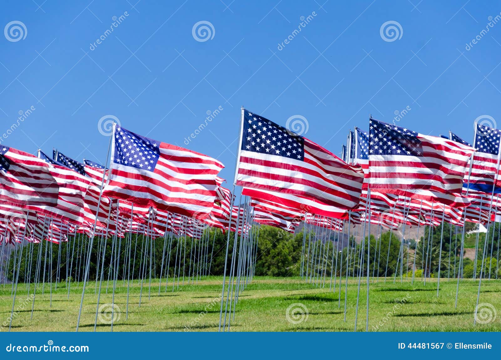 American flags on a field stock image. Image of fourth - 44481567
