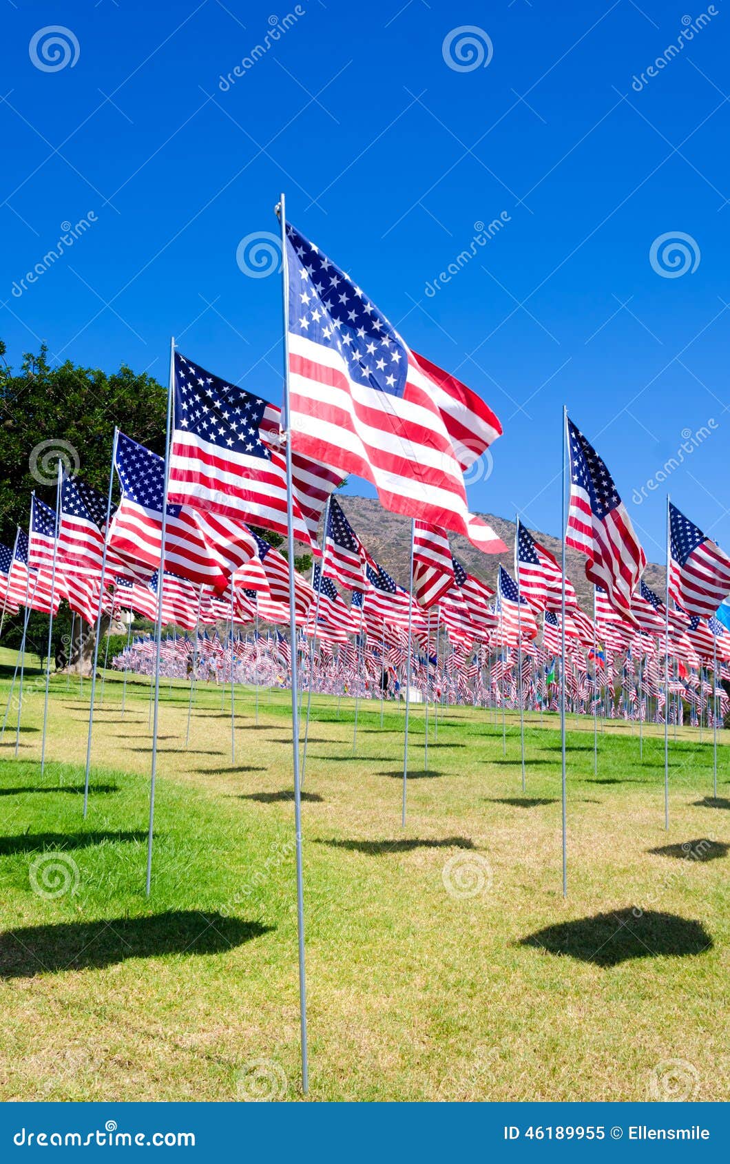 American flags on a field stock image. Image of group - 46189955