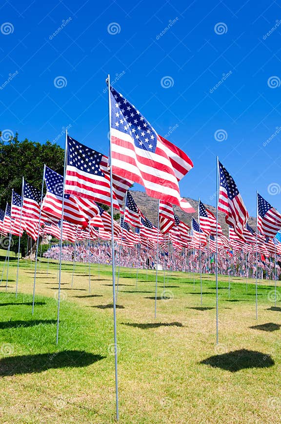 American flags on a field stock image. Image of group - 46189955