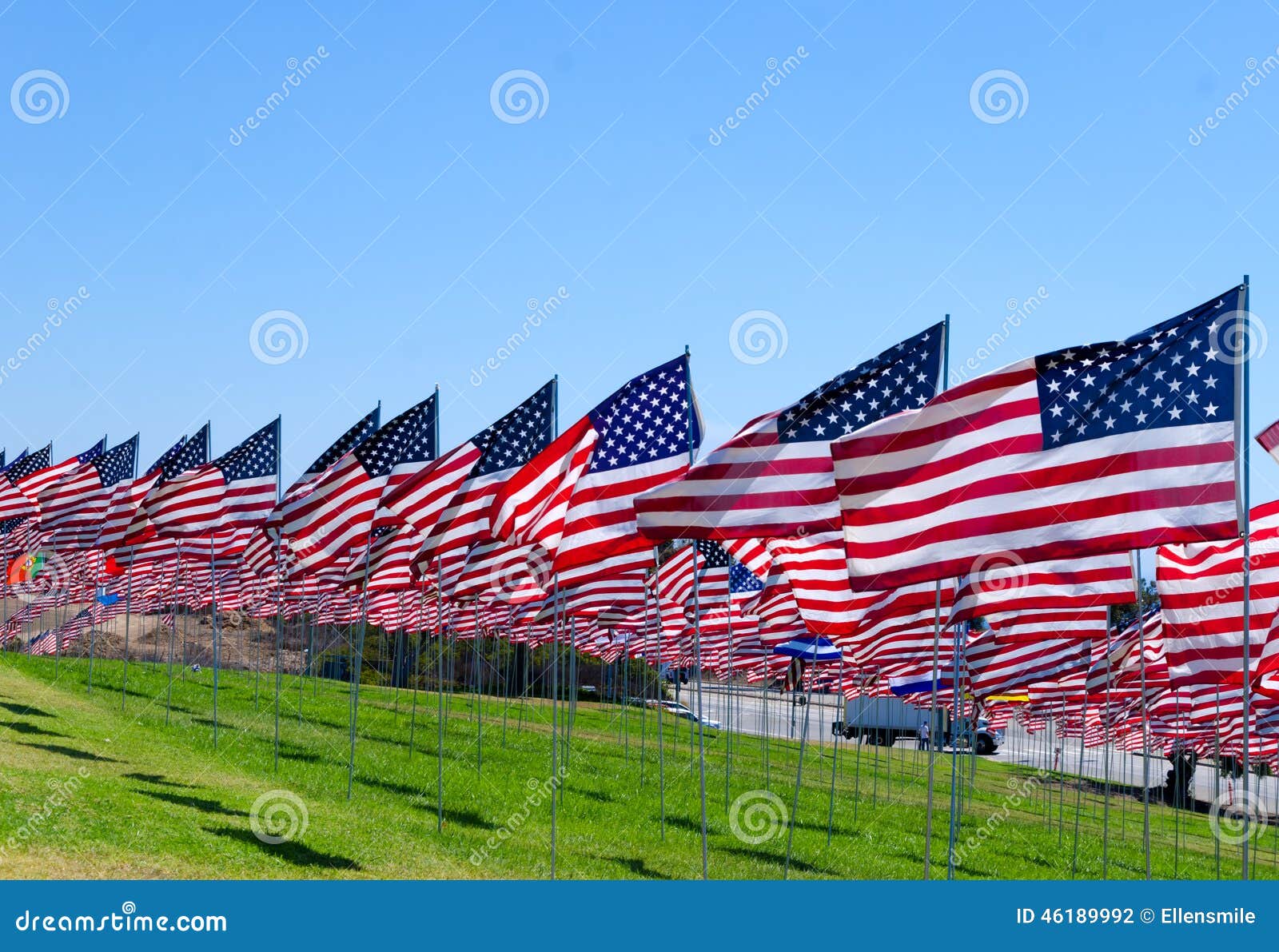 American flags on a field stock photo. Image of american - 46189992
