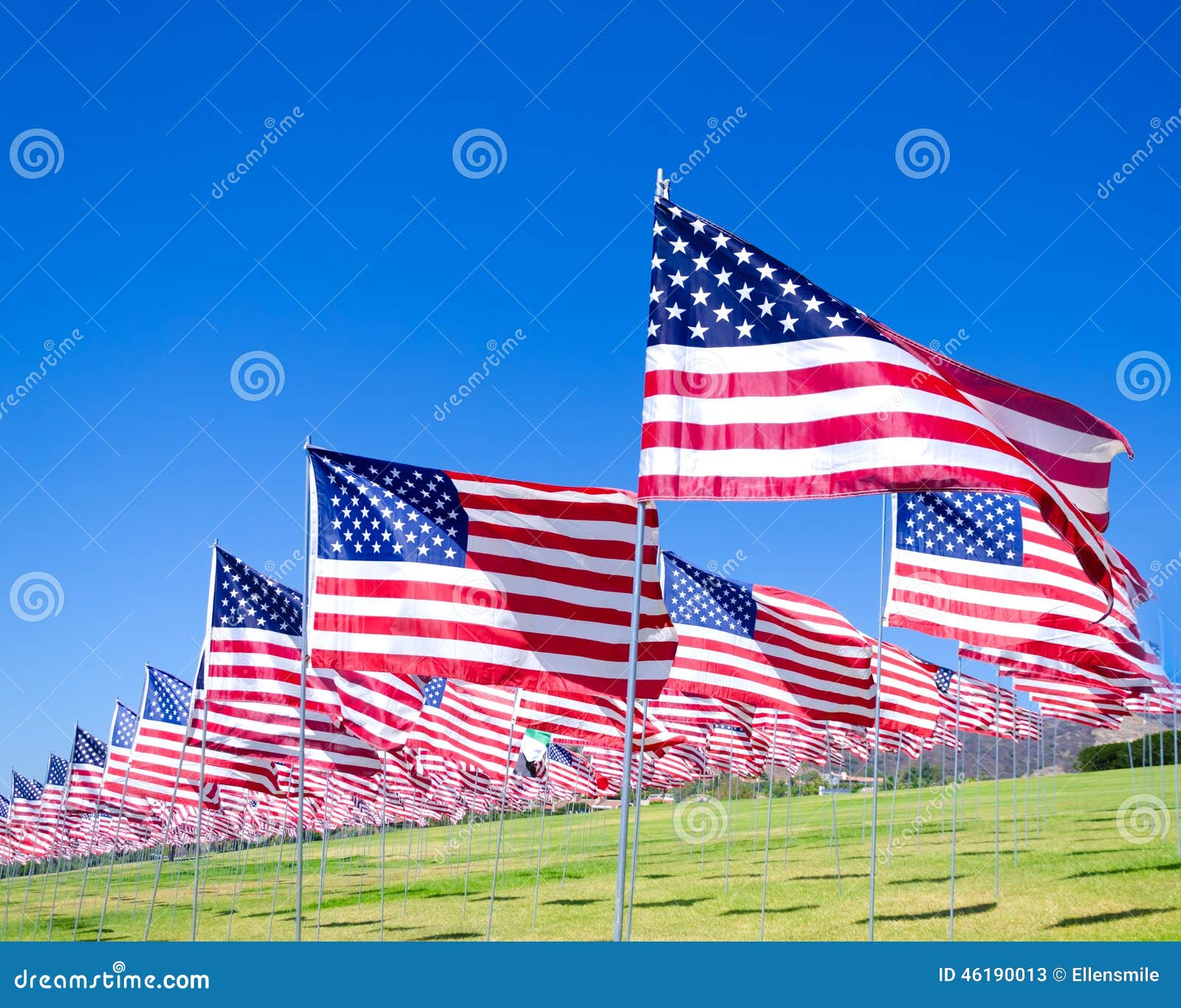 American flags on a field stock image. Image of remember - 46190013