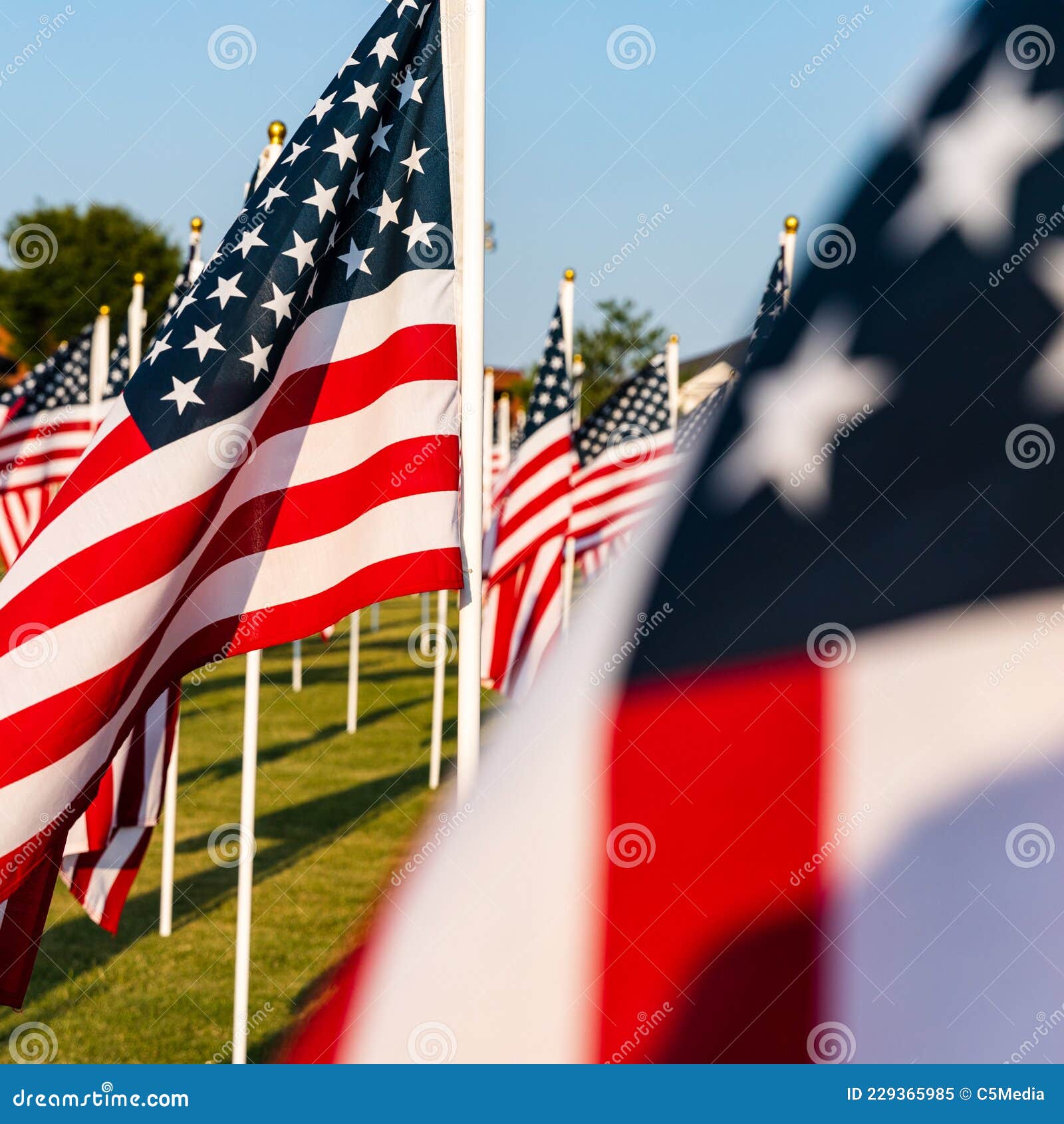 American Flags in field stock image. Image of flagpole - 229365985