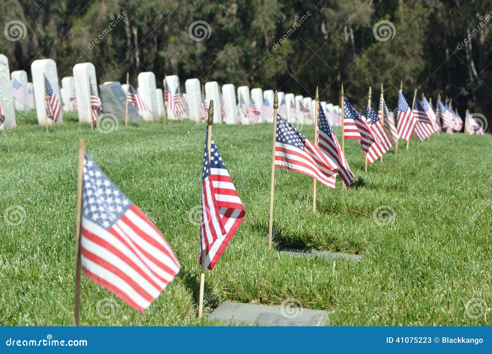 American Flags at Gravesite on Memorial Day Stock Image - Image of ...