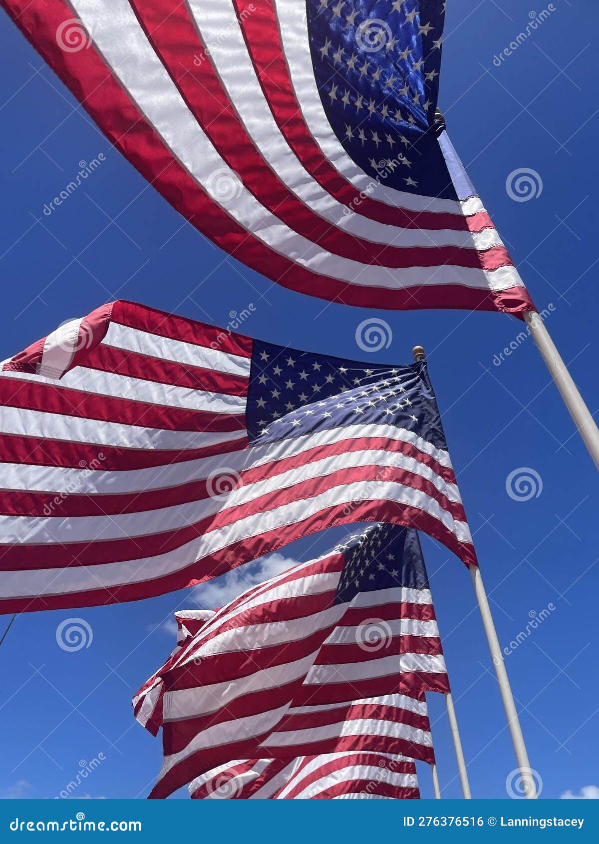 American flags in a line stock photo. Image of line - 276376516