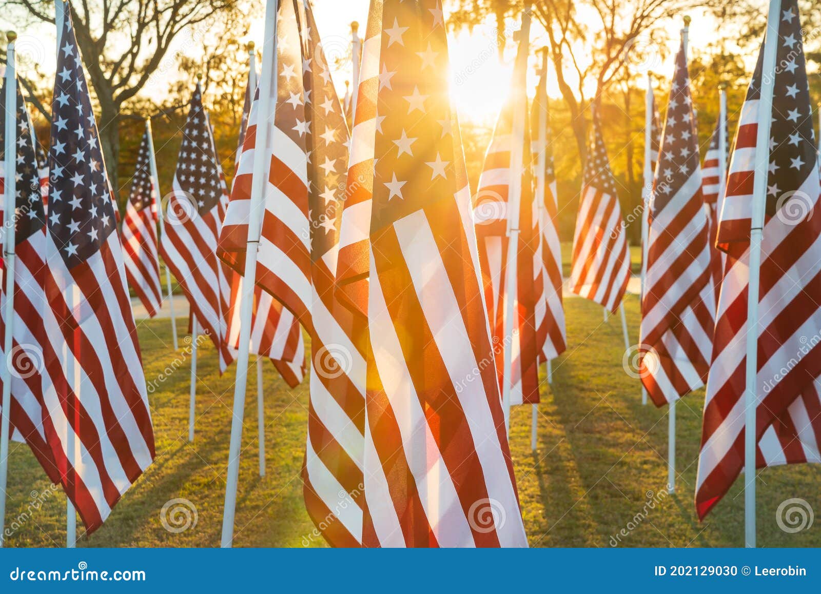 American Flags Display at Beautiful Sunrise Stock Photo - Image of ...