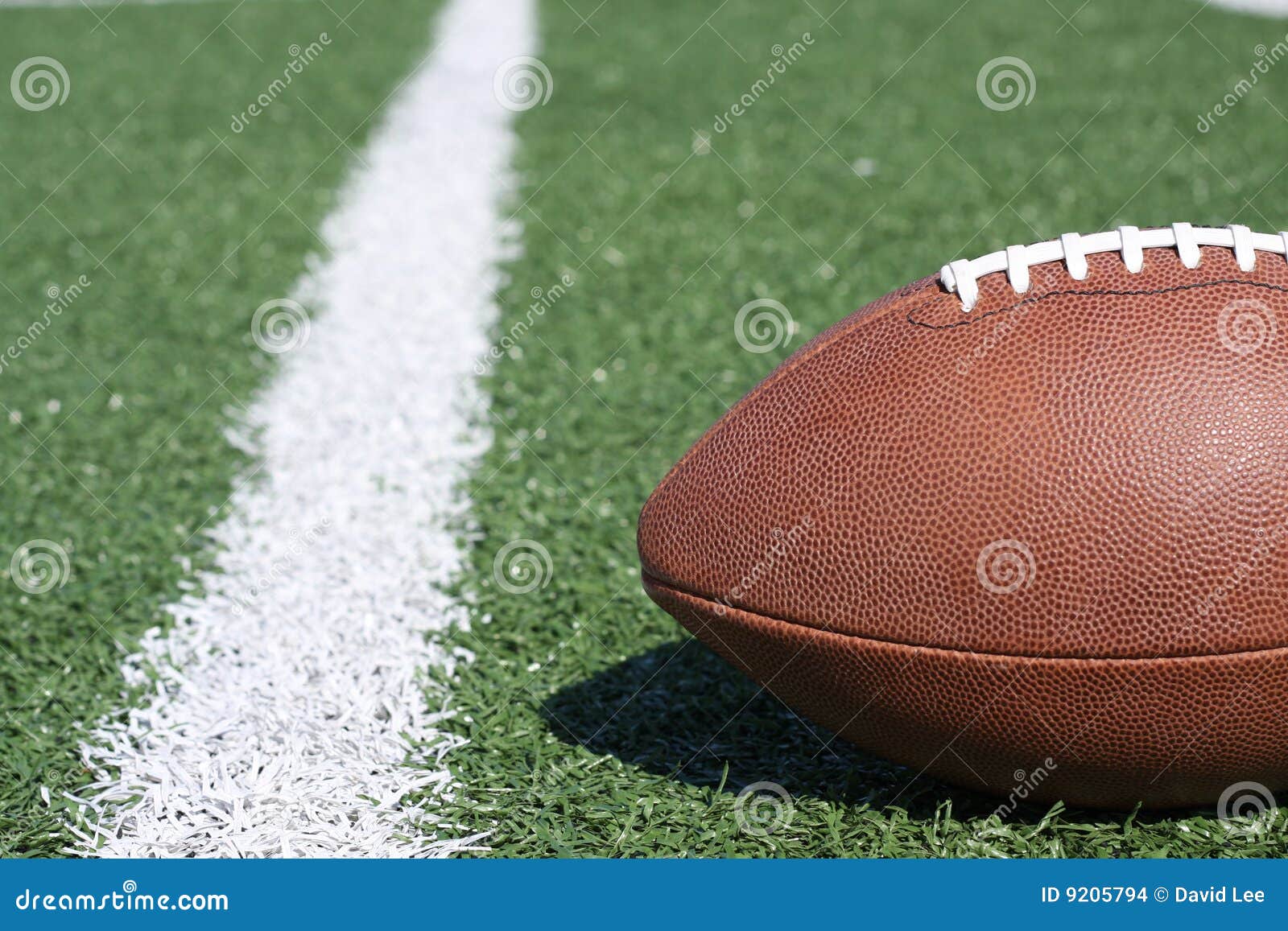 Official Nfl Football On Grass