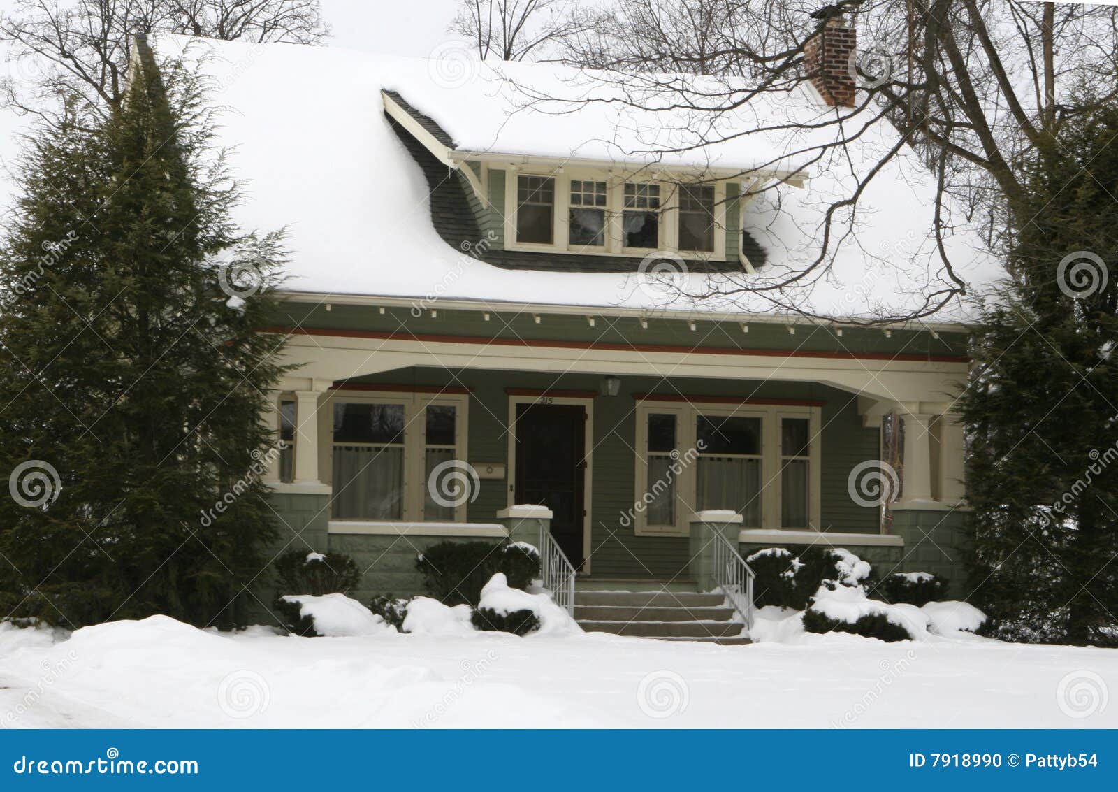 American Home in Winter stock photo. Image of michigan - 7918990