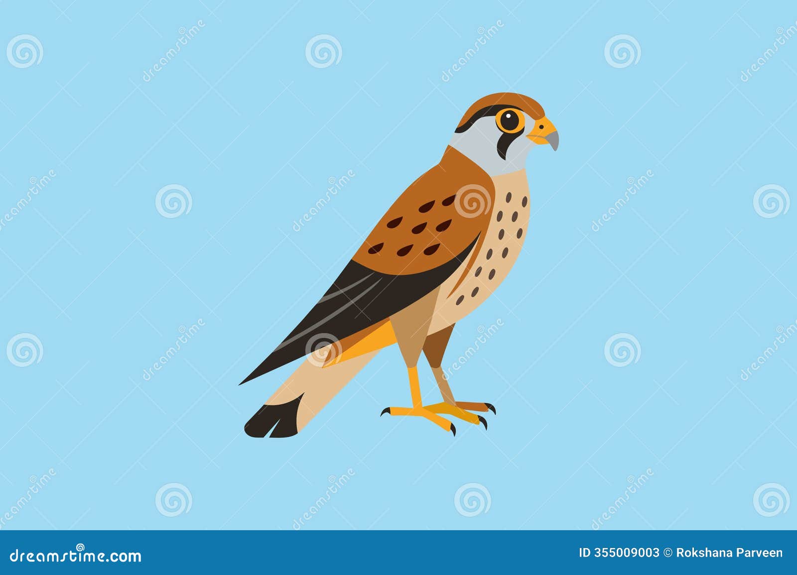 American Kestrel Bird Vector Artwork Stock Illustration - Illustration ...