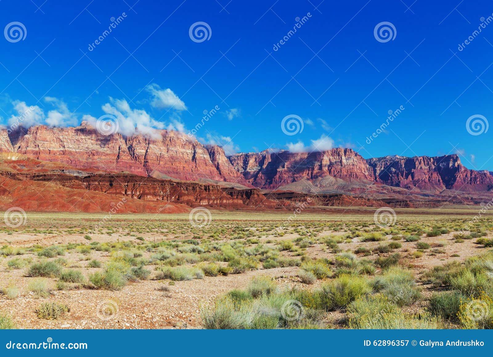 American landscapes stock image. Image of park, outdoor - 62896357