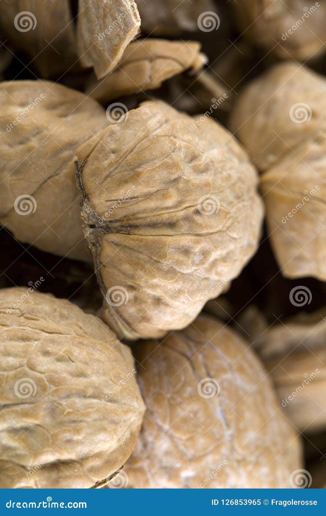 American Nuts shells stock image. Image of fruits, feed - 126853965