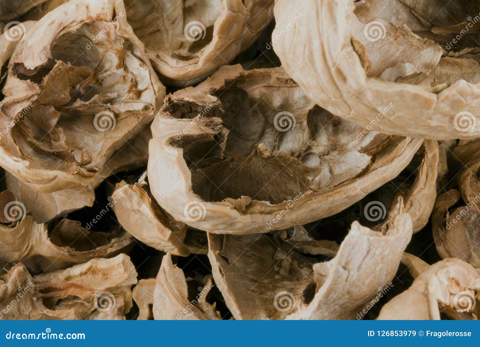American Nuts shells stock image. Image of fruits, fruit - 126853979