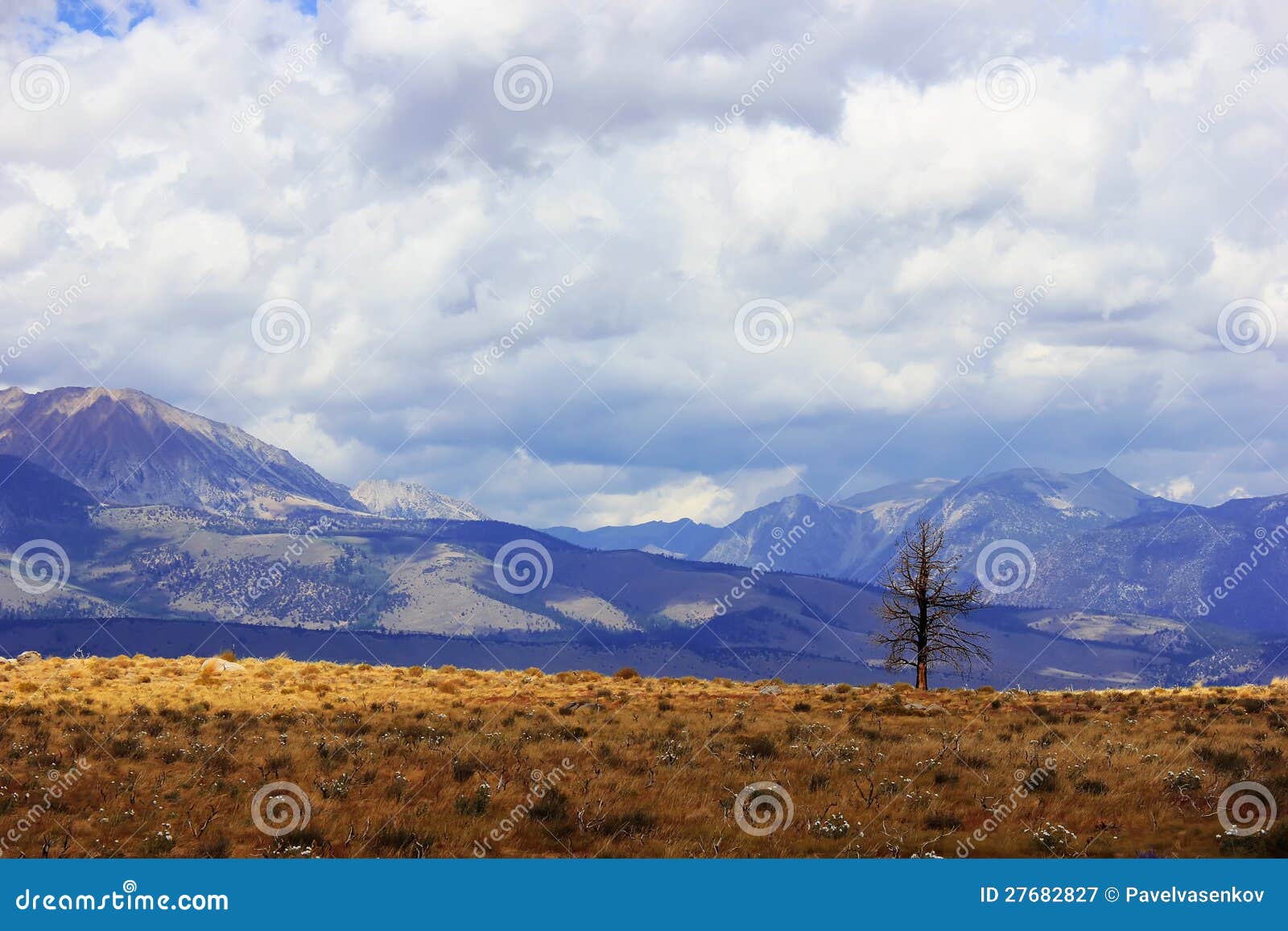 American prairie stock image. Image of travel, tourism - 27682827