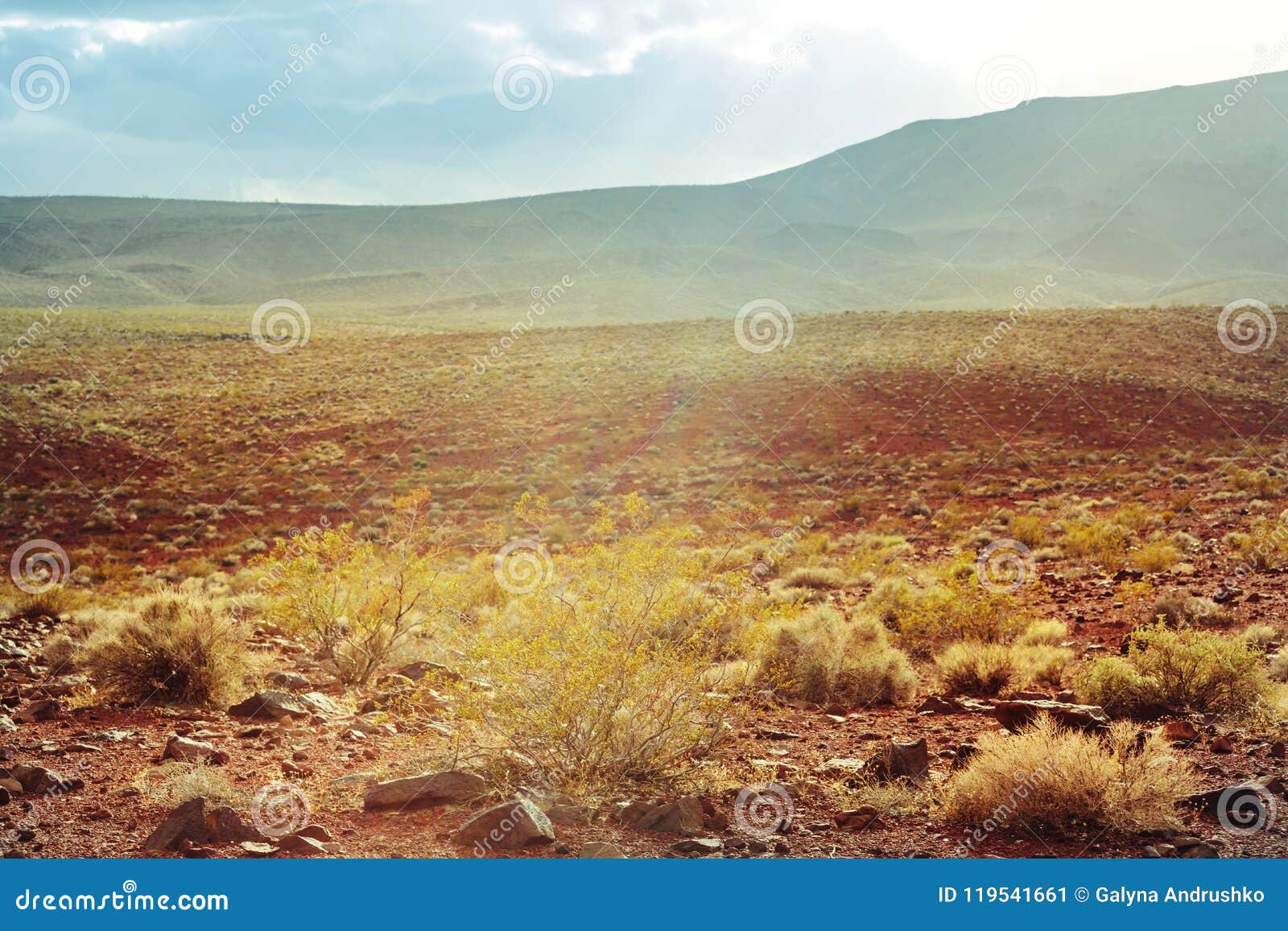 American prairie stock image. Image of america, countryside - 119541661