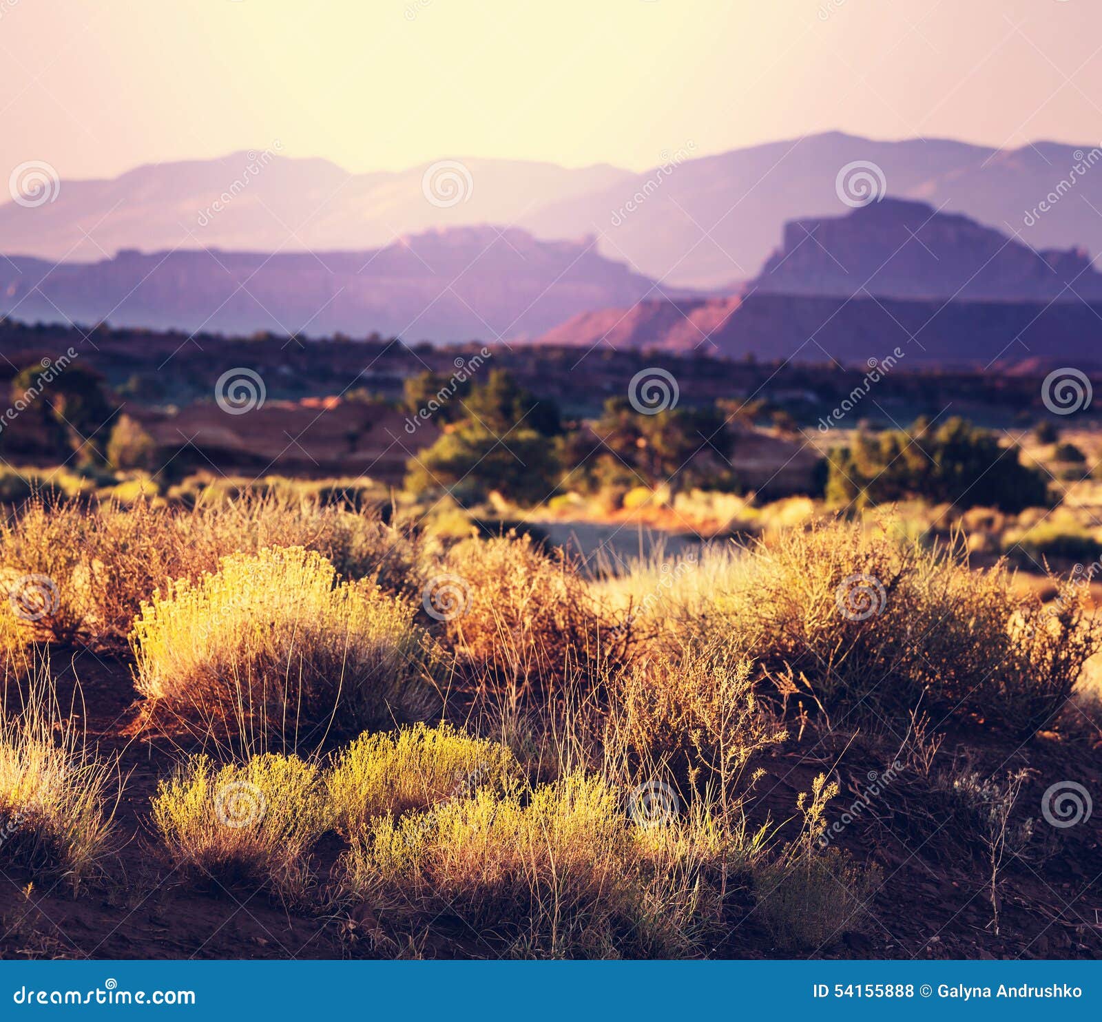 American prairie stock photo. Image of prairie, mountain - 54155888