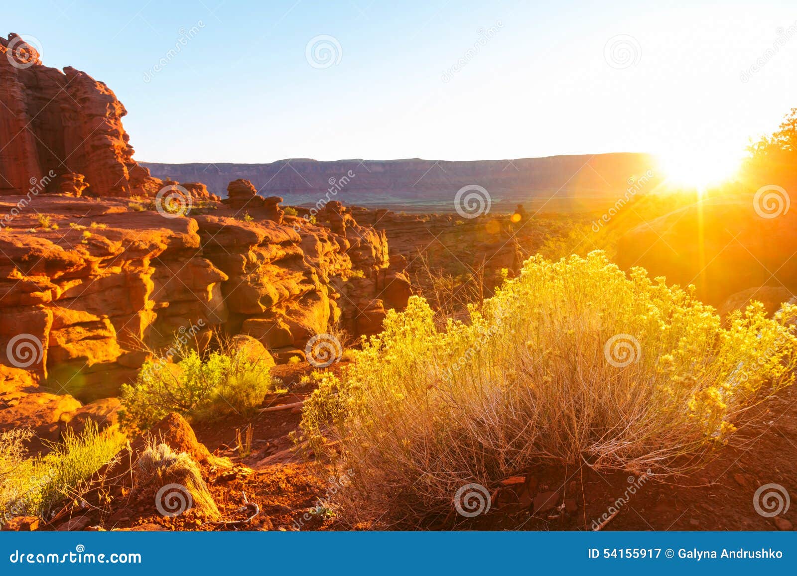 American prairie stock image. Image of natural, fields - 54155917