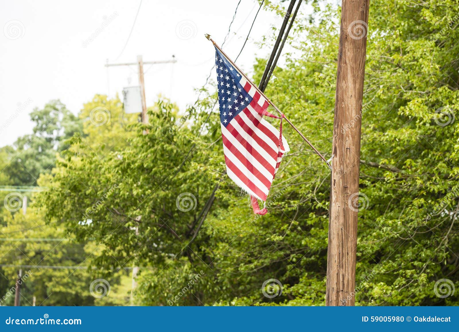 American Pride: Flag Ripped, Torn STILL Standing Stock Photo - Image of ...