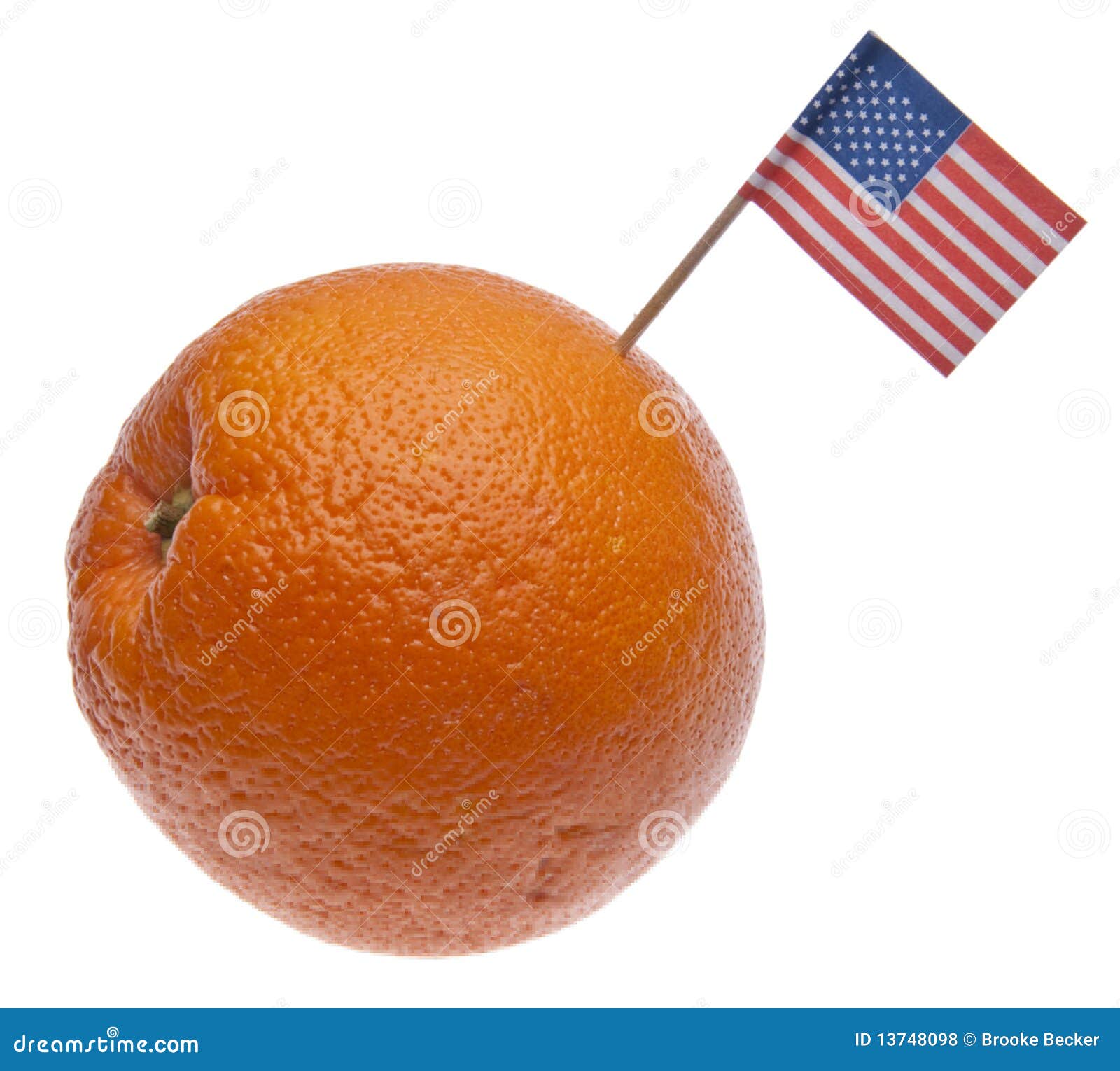 American Produce stock photo. Image of white, concept - 13748098