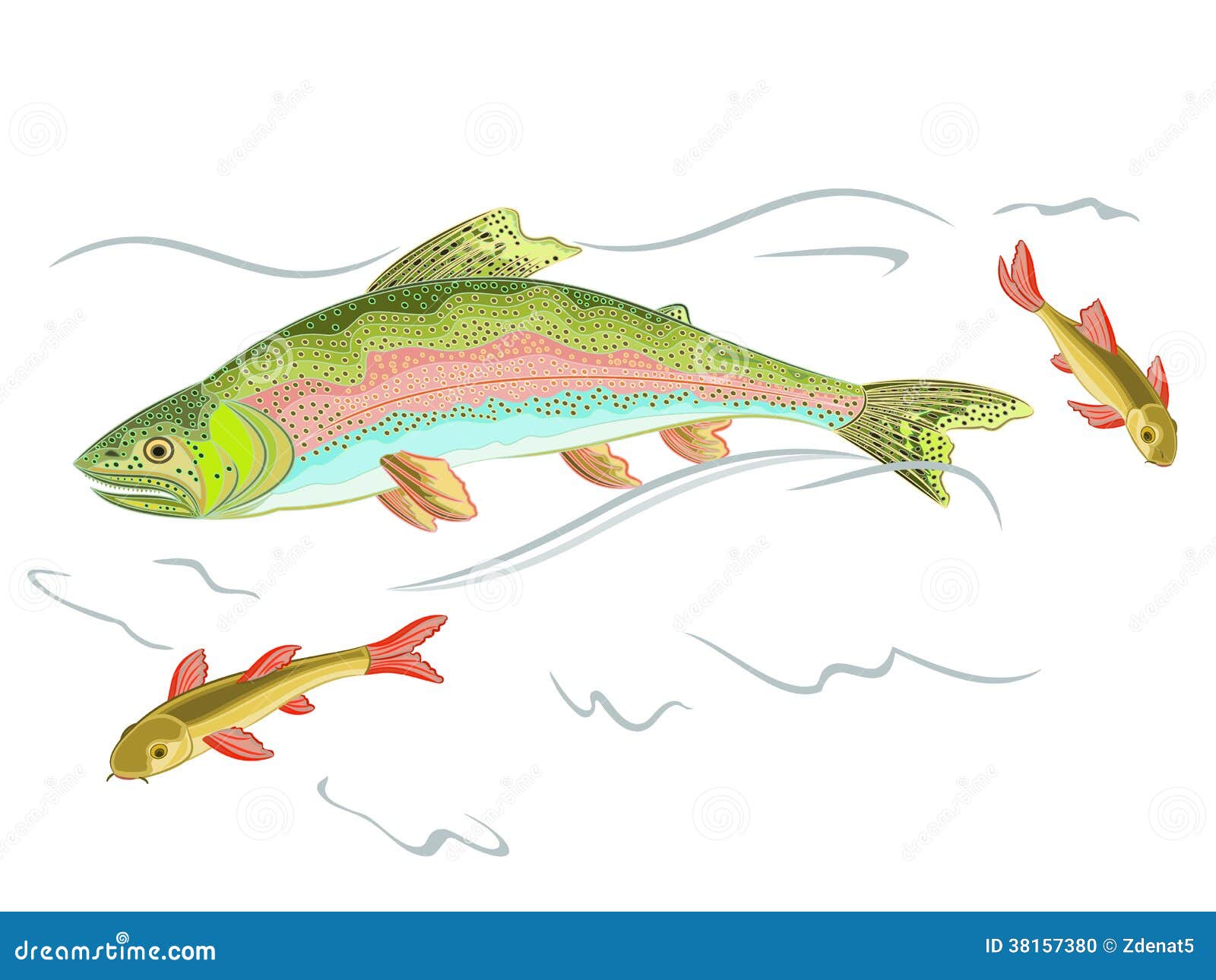 Cutthroat Trout Jumping Drawing Royalty-Free Stock Image ...