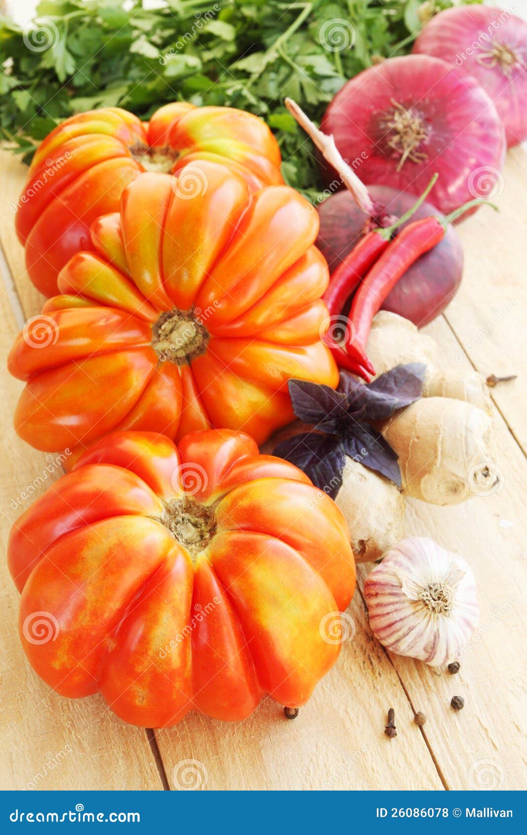 American ribbed stock photo. Image of large, life, american - 26086078