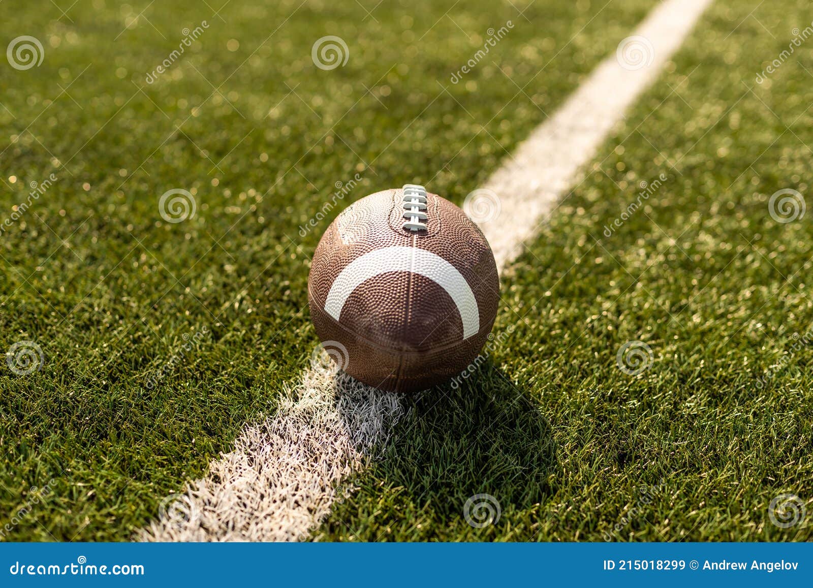 American Rugby Ball on the Grass in the Stadium Stock Image - Image of ...