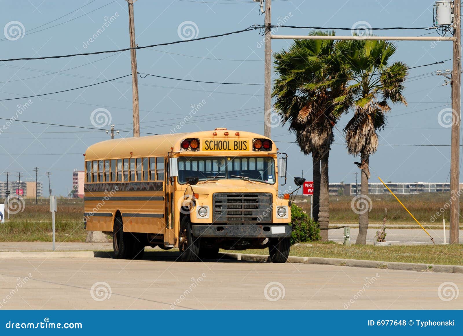 American school bus stock photo. Image of windows, american - 6977648