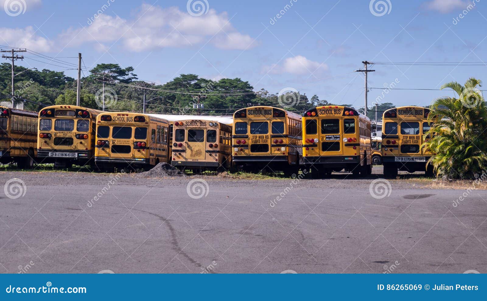 American School Bus Rear View in a Row Editorial Stock Image - Image of ...