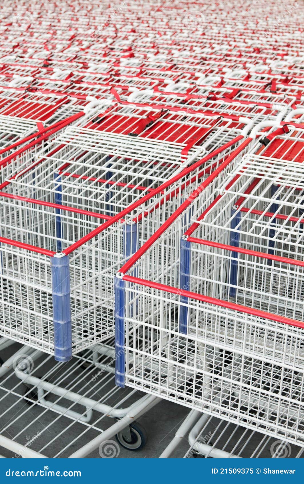 American Shopping Carts Stacked Together. Stock Image - Image of ...