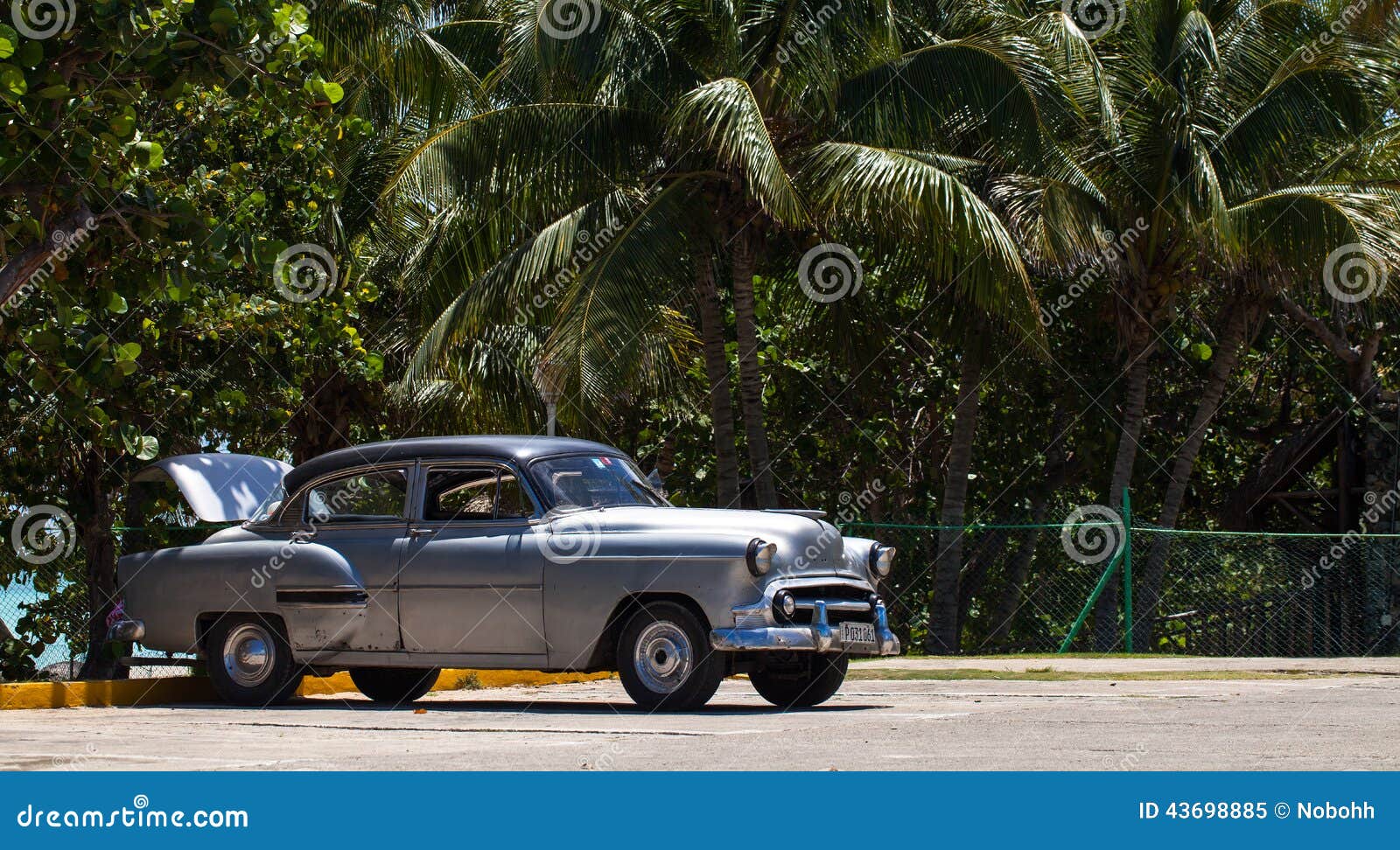 American Silver Classic Car Parked Under Palms Editorial Image - Image ...