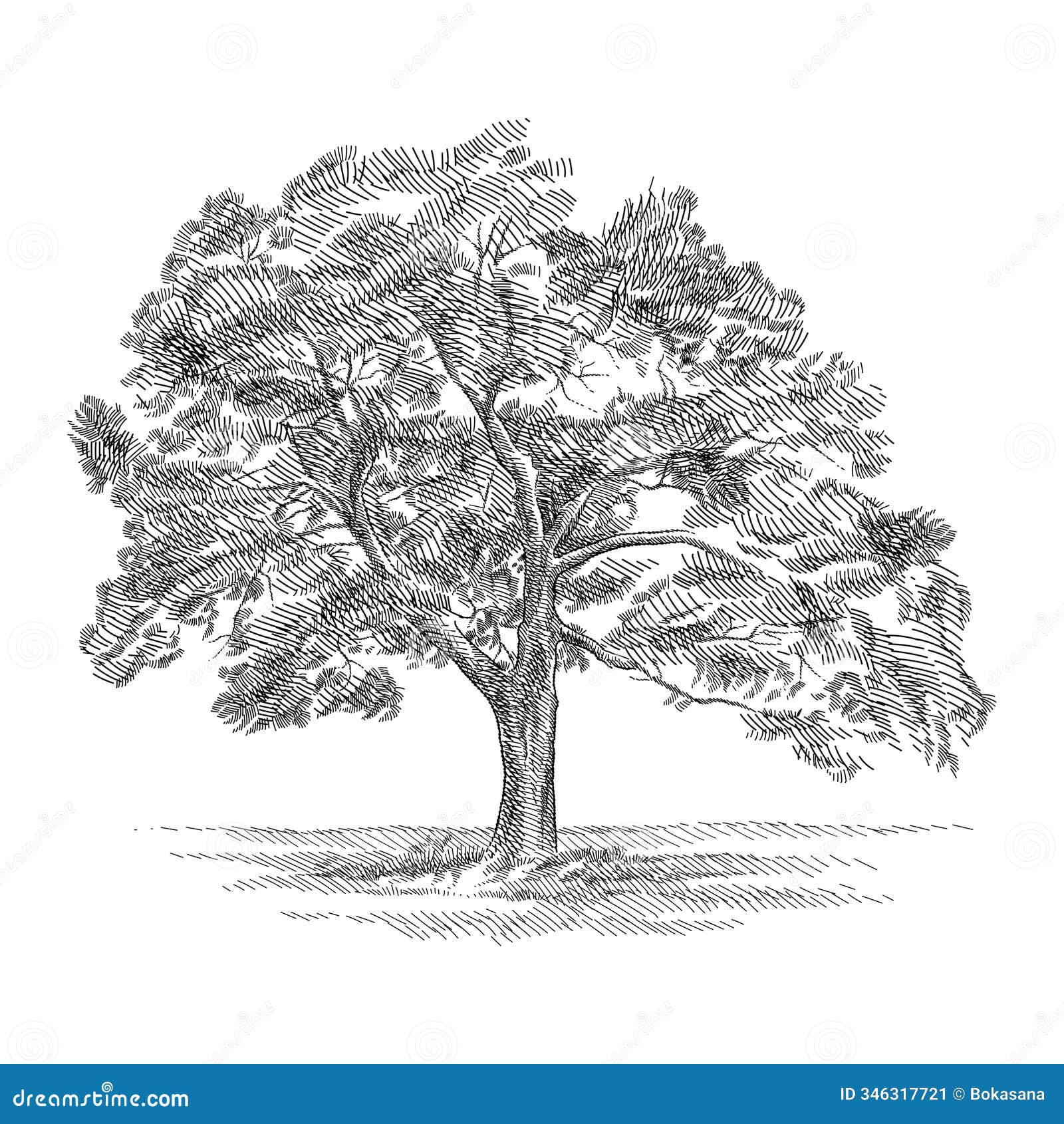 Deciduous Tree One Line Art. Continuous Line Drawing Of Plants, Herb ...