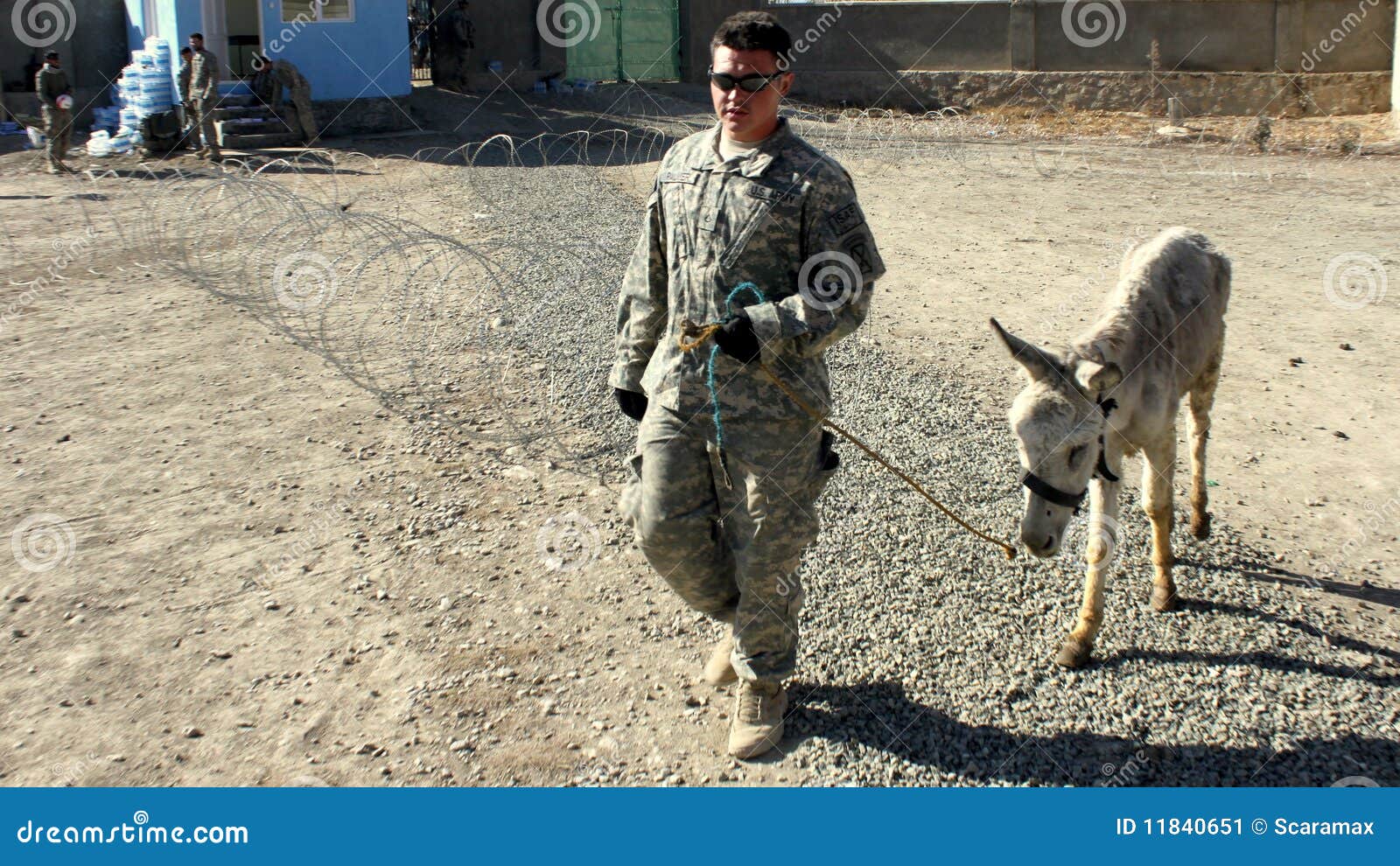American troops veterinary editorial photo. Image of help - 11840651