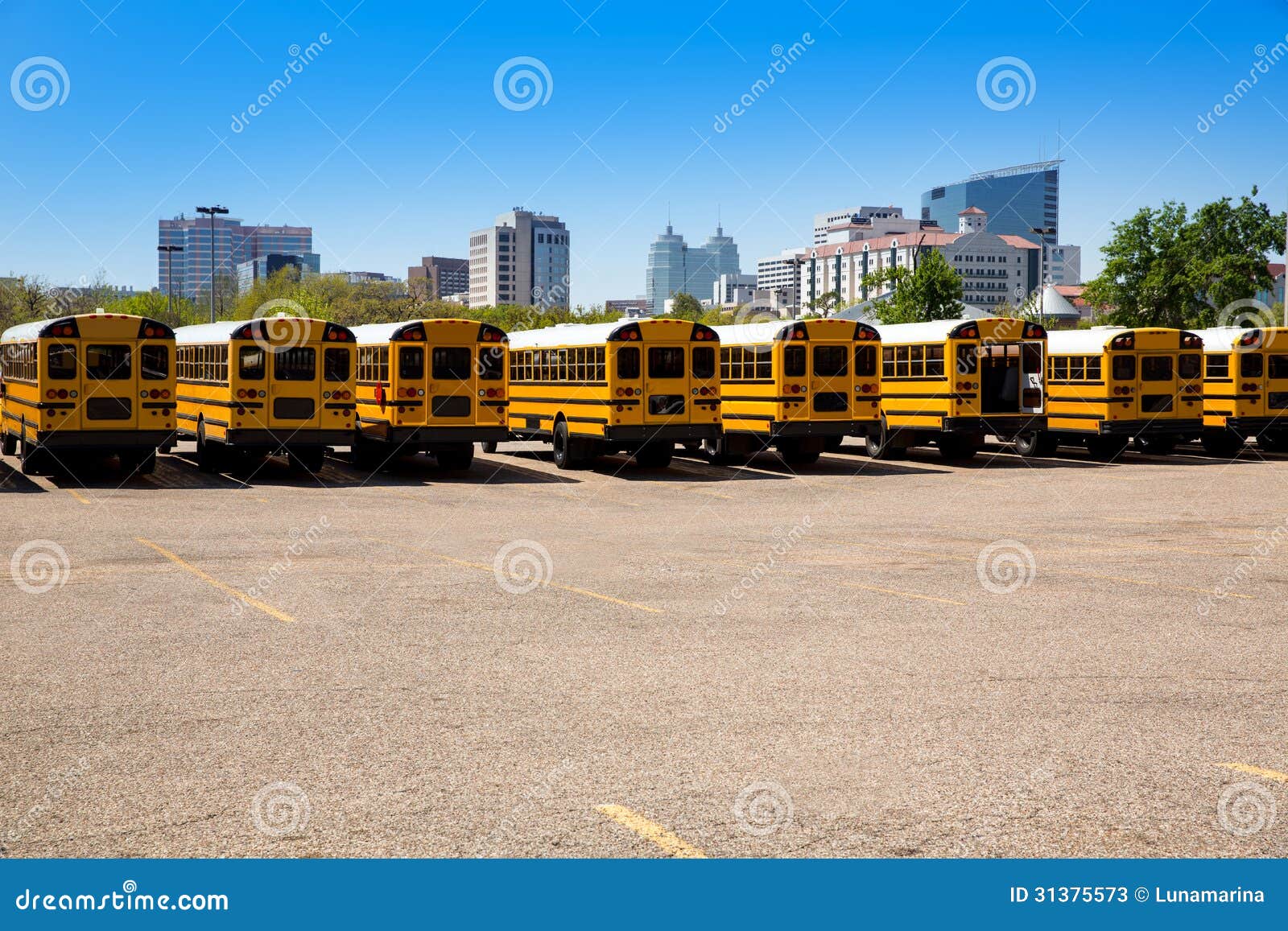 American Typical School Bus Rear View in Houston Stock Image - Image of ...