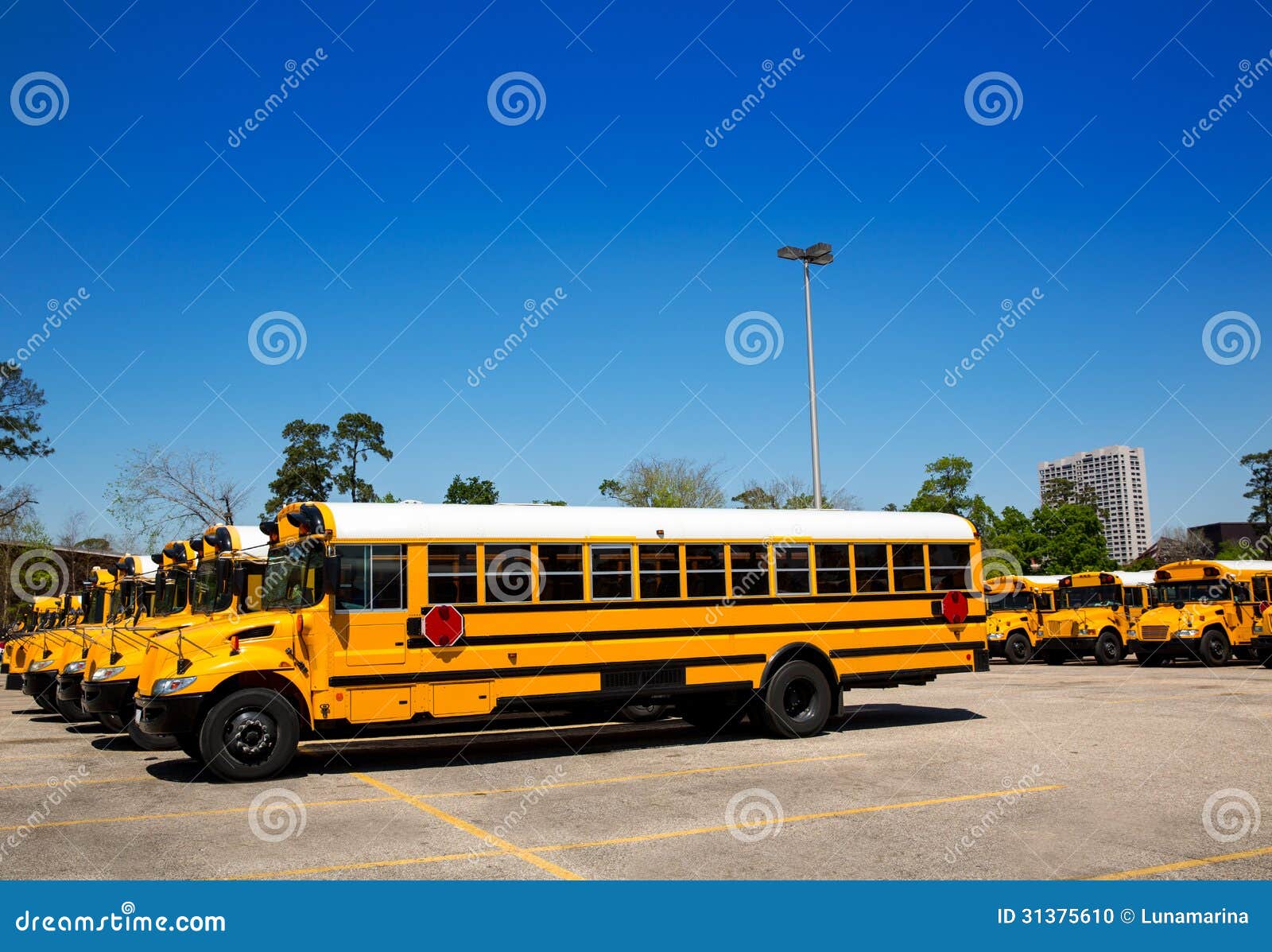 American Typical School Buses Row in a Parking Lot Stock Photo - Image ...