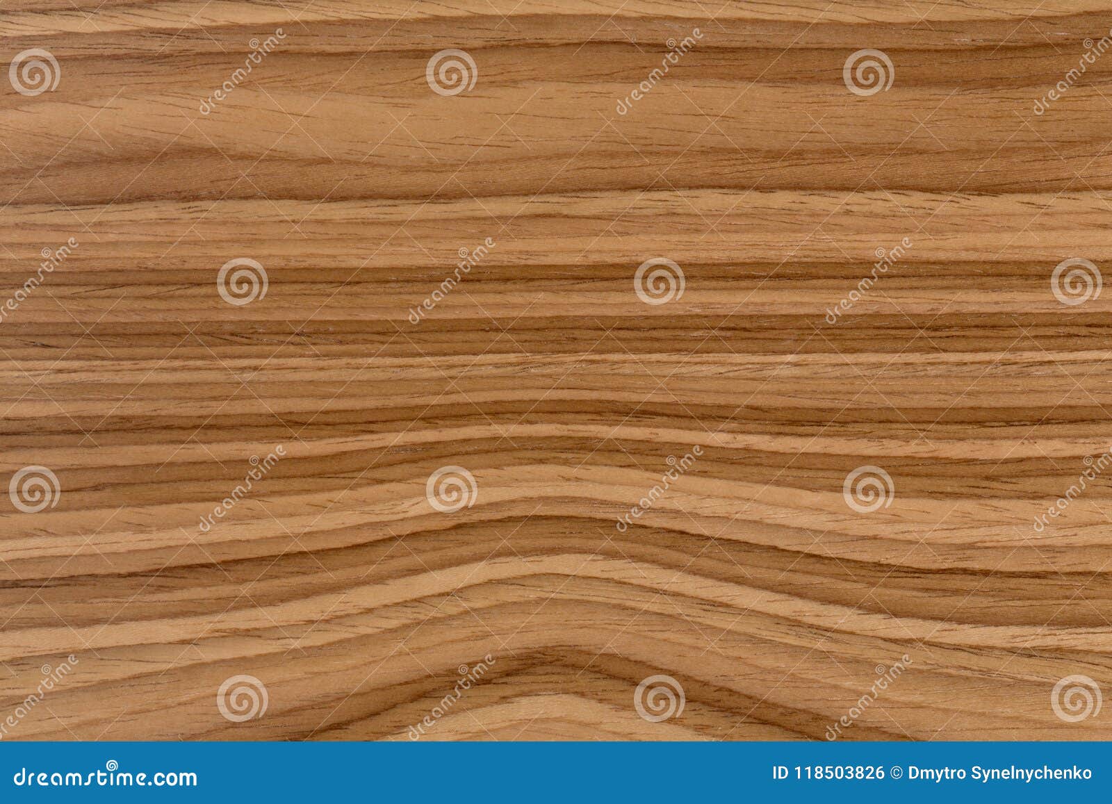 American Walnut Texture with Natural Patterns. Stock Photo - Image of ...