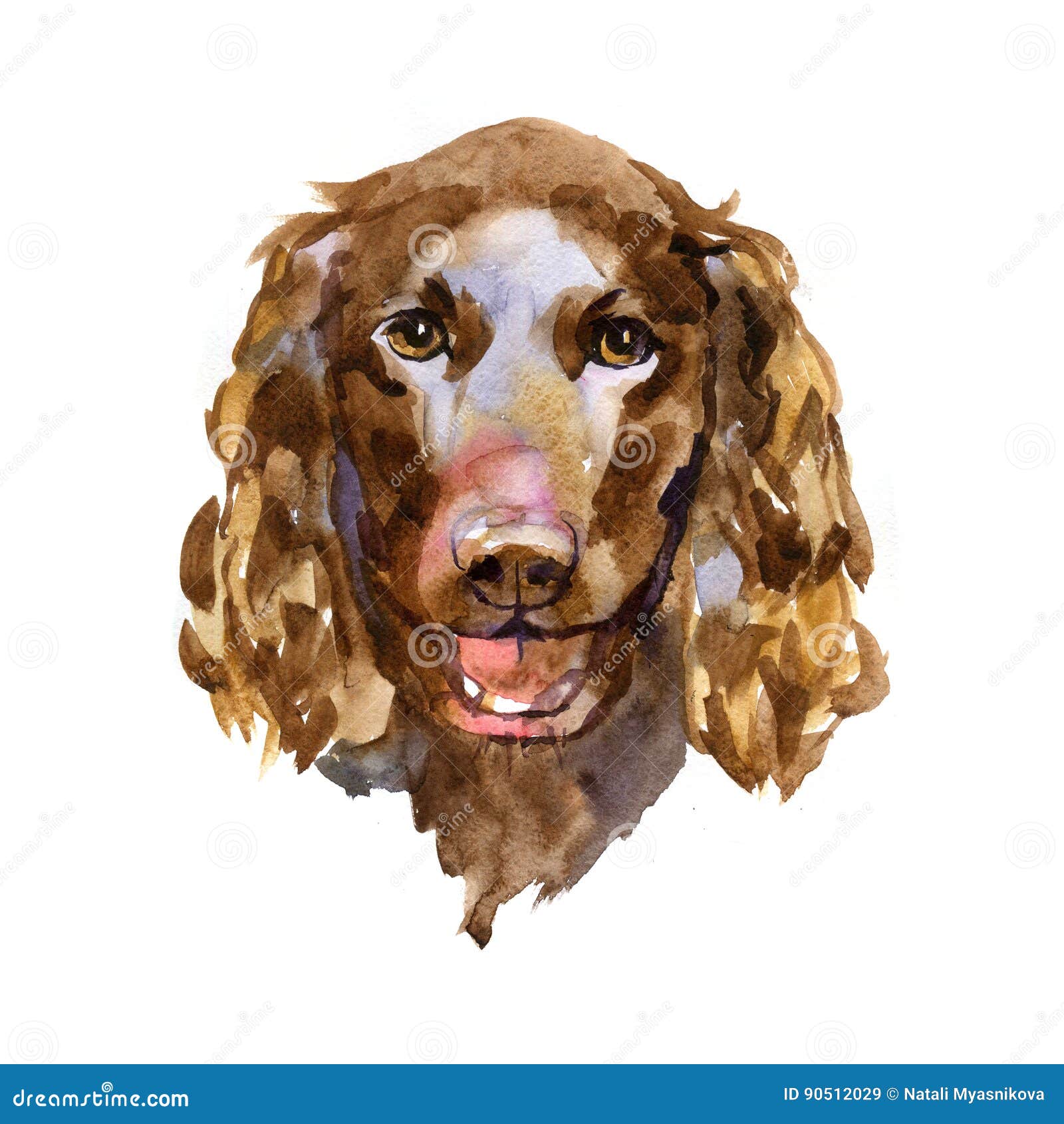 American Water Spaniel in Watercolor Stock Illustration - Illustration ...