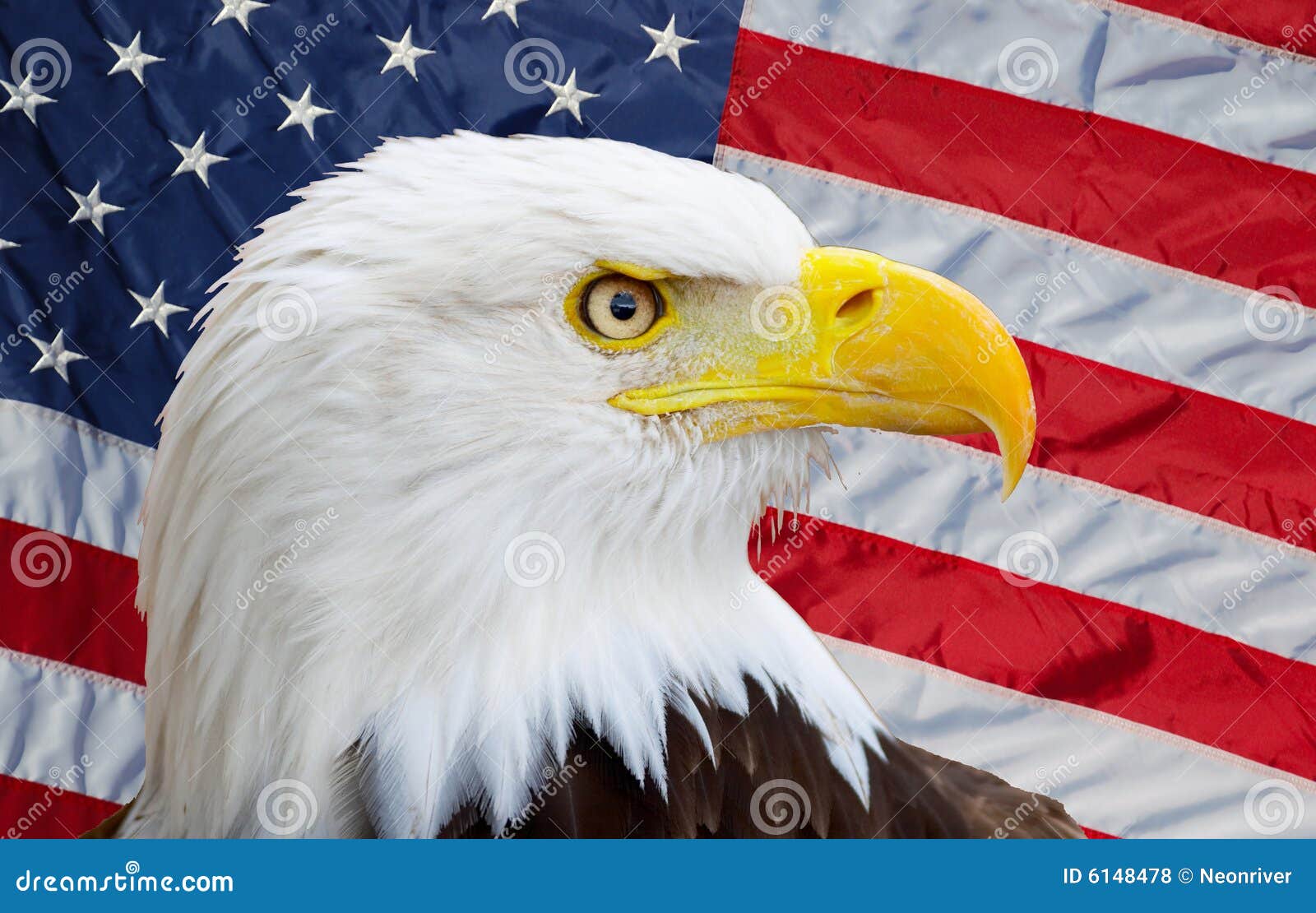 Amerikanischer Adler stockfoto. Bild von freiheit, raubvogel - 6148478