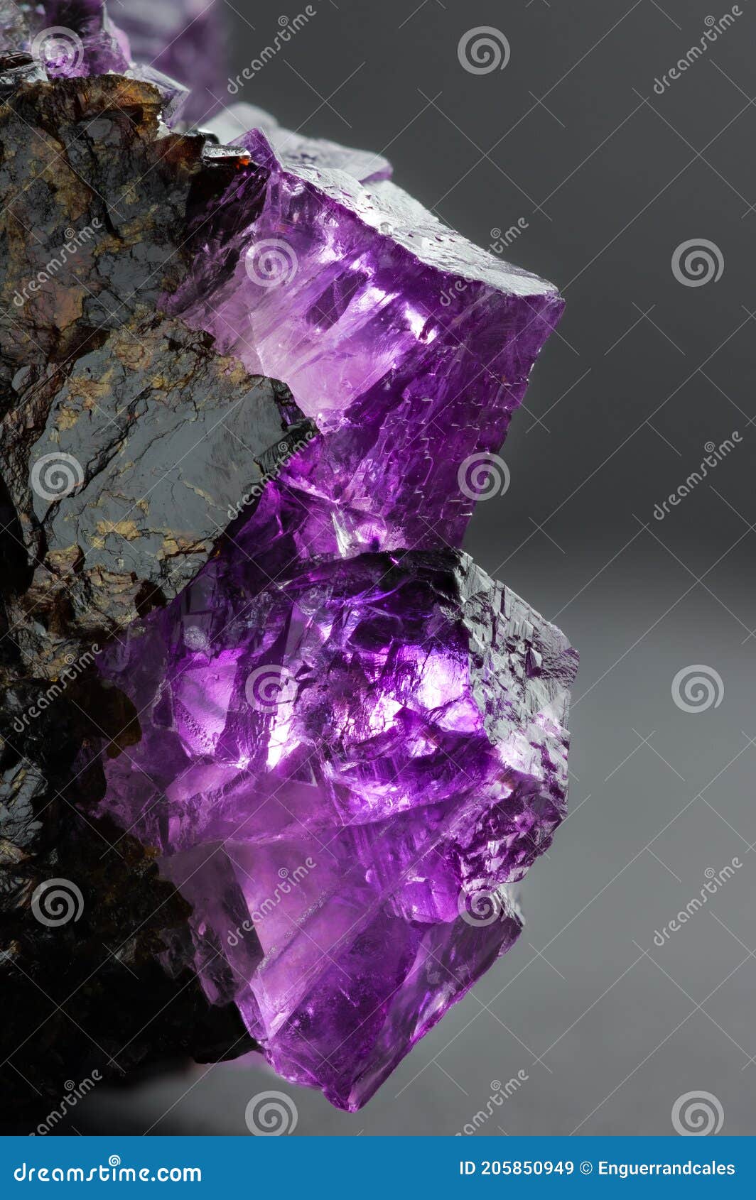 Amethyst Crystals Inclusion Stock Image - Image of glitter, crystal ...